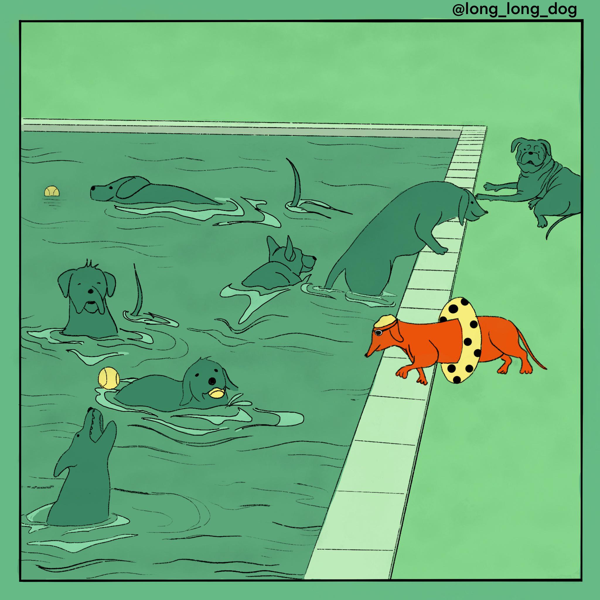 Long summer [OC] | Scrolller