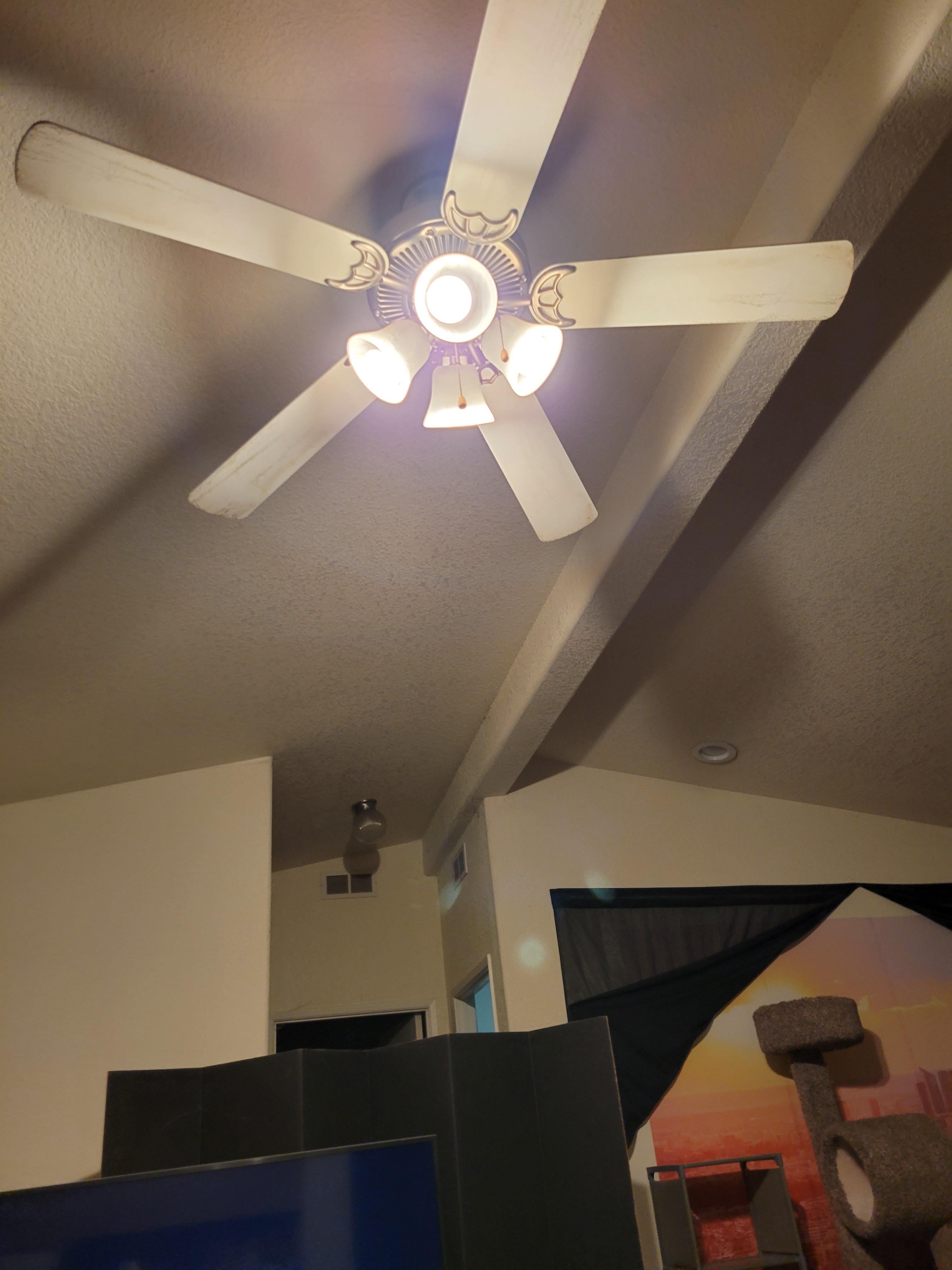 Look at my big beautiful fan | Scrolller