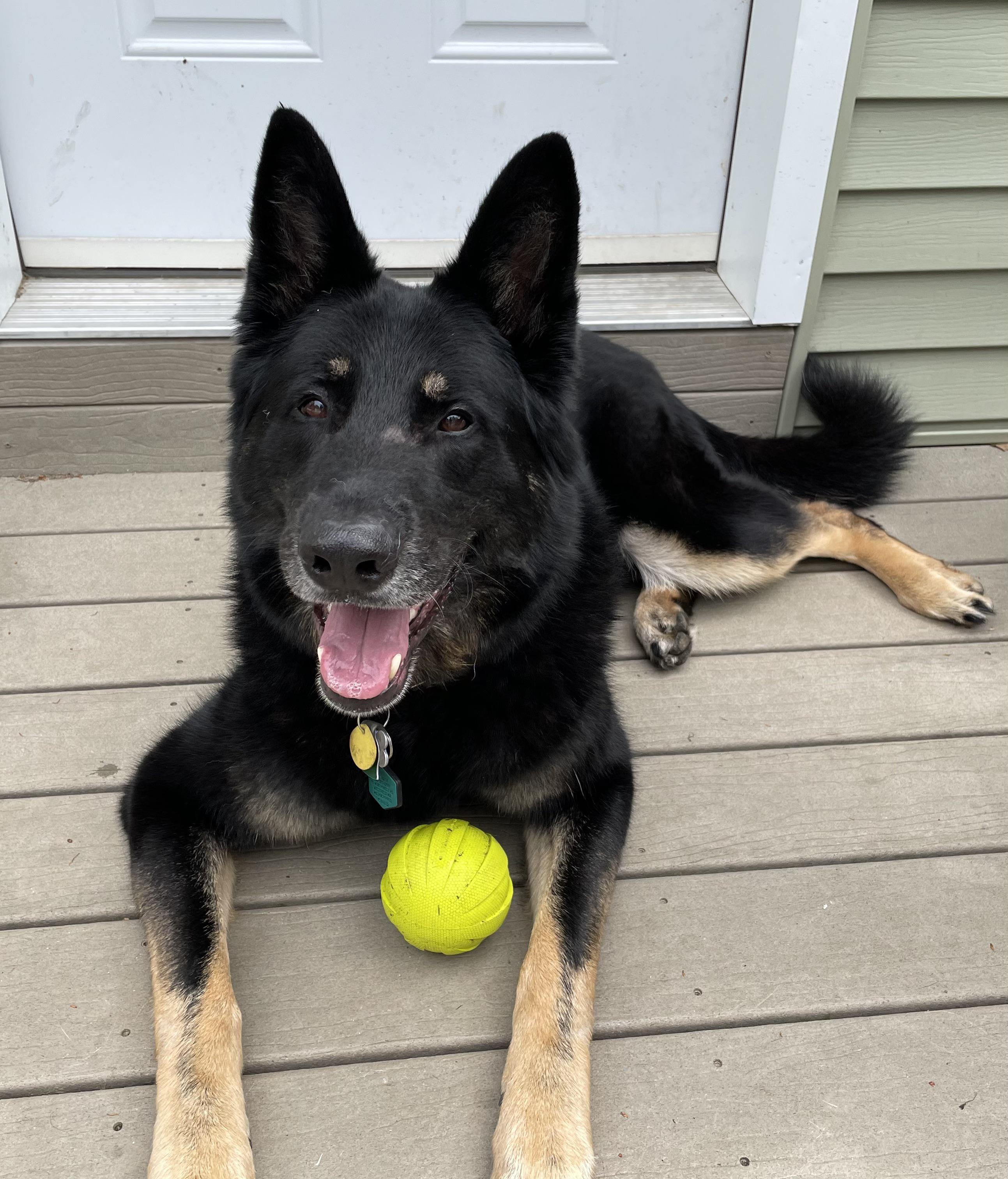 Look at my happy boy | Scrolller