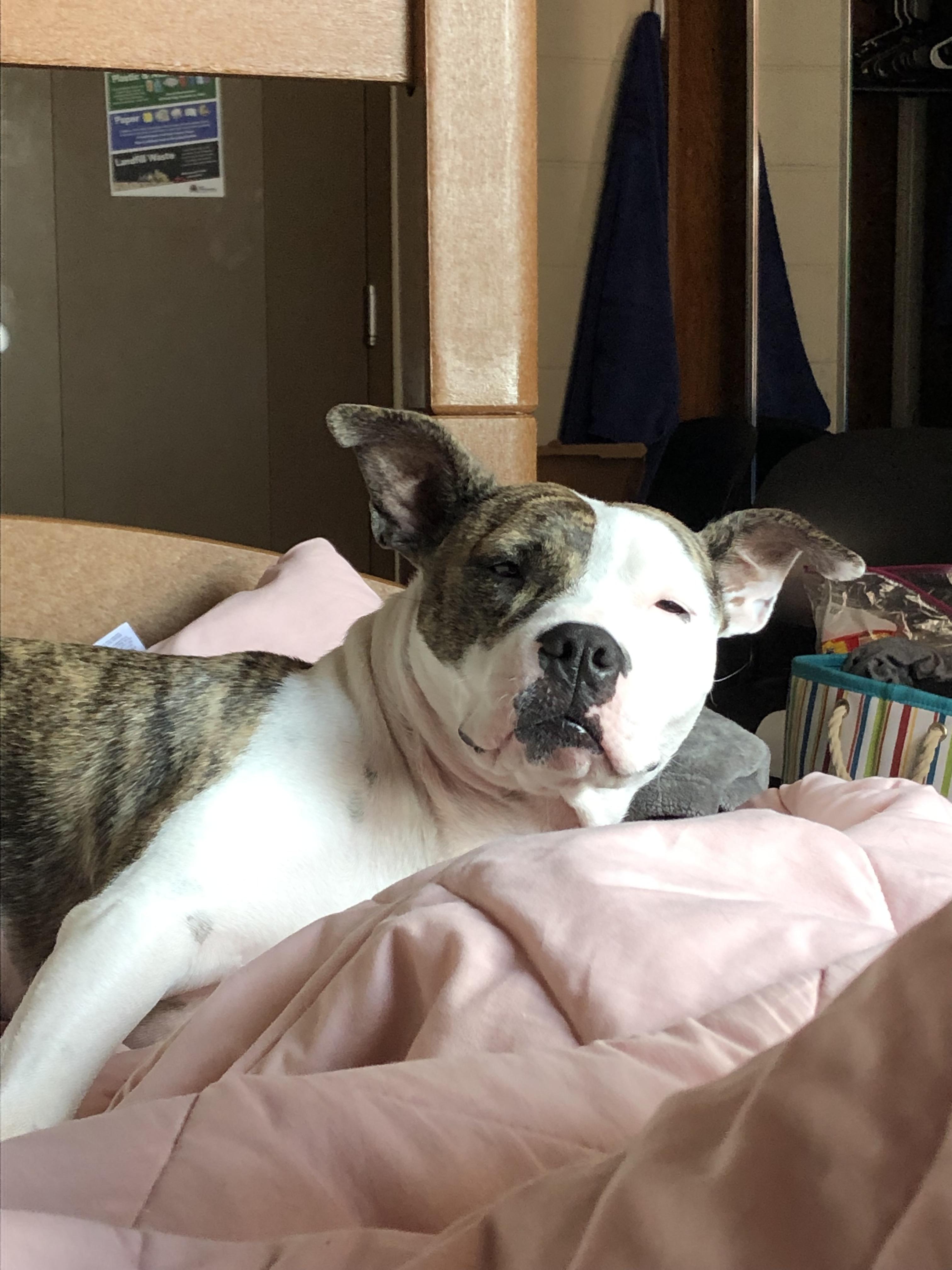 Look at my little gremlin! | Scrolller