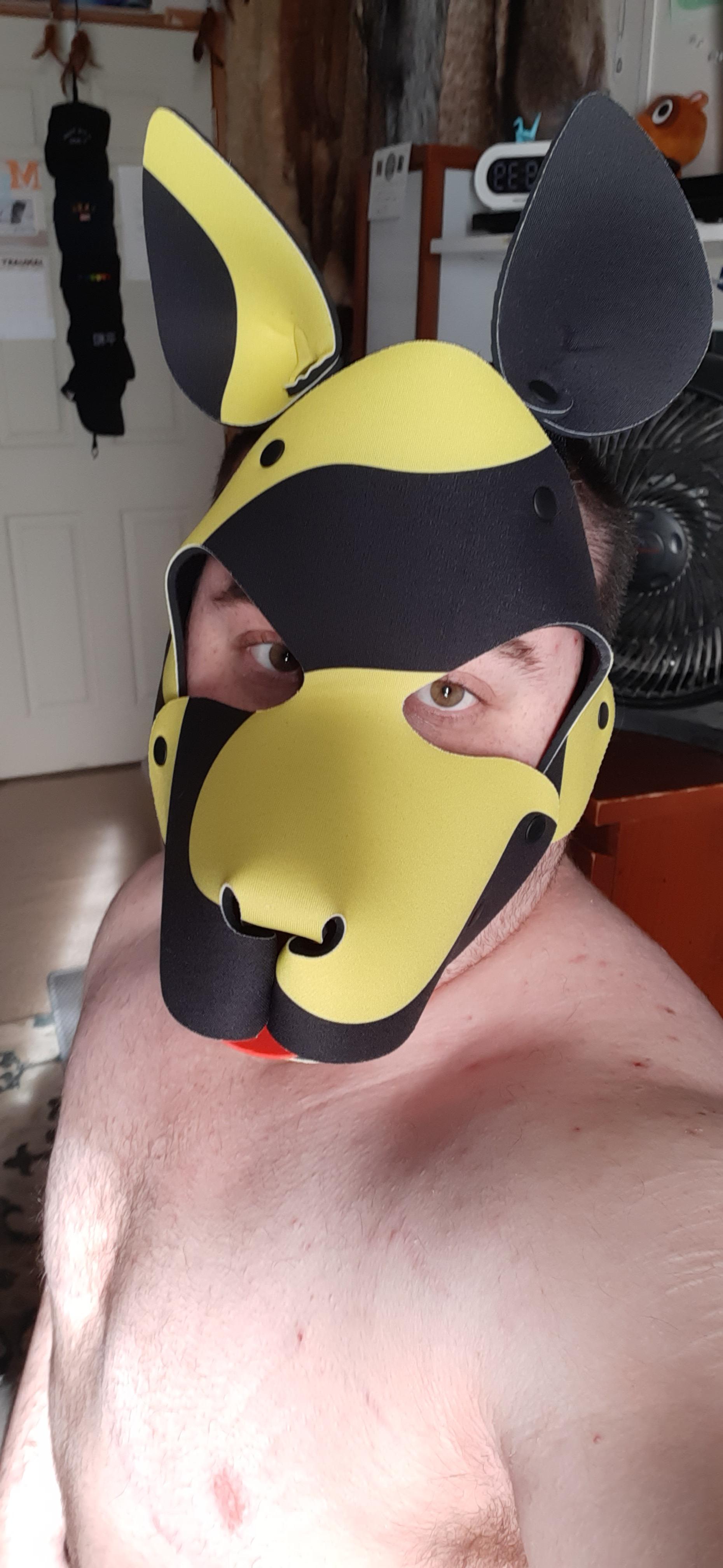 Look at my snoot | Scrolller