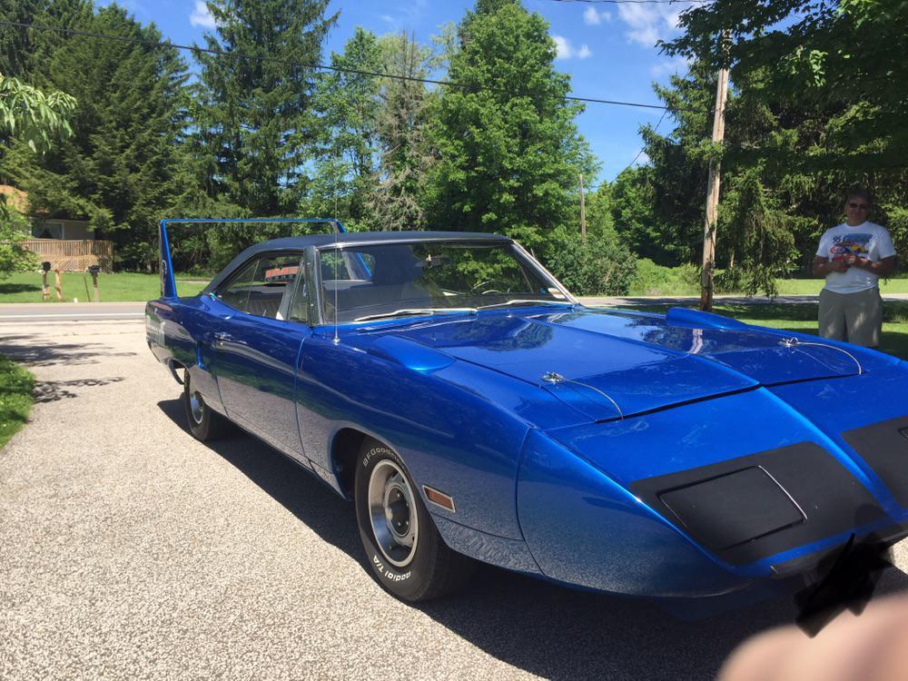 Look at the big wang on the superbird! | Scrolller