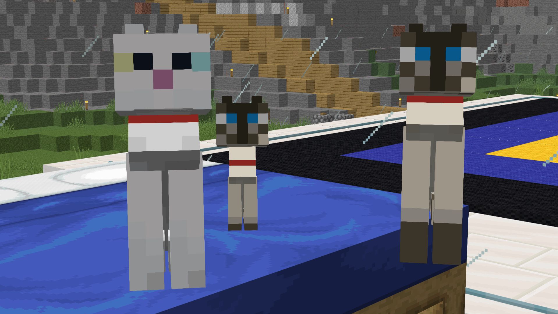 look at these cuties 😁 | Scrolller