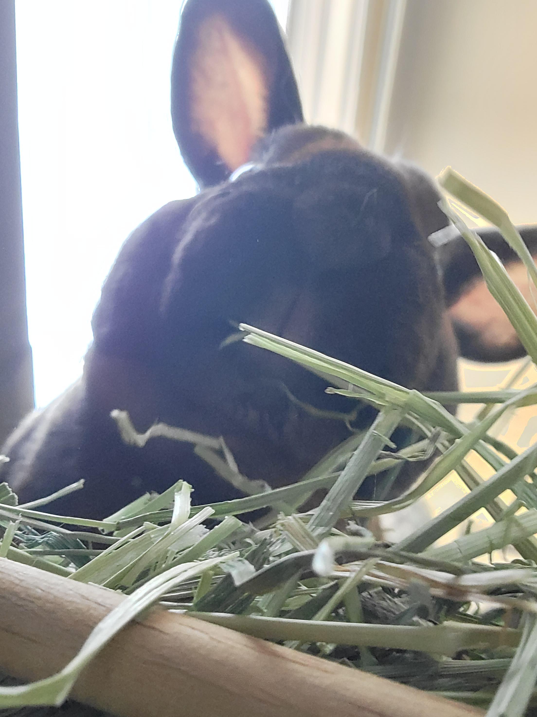 Looking down from above. | Scrolller