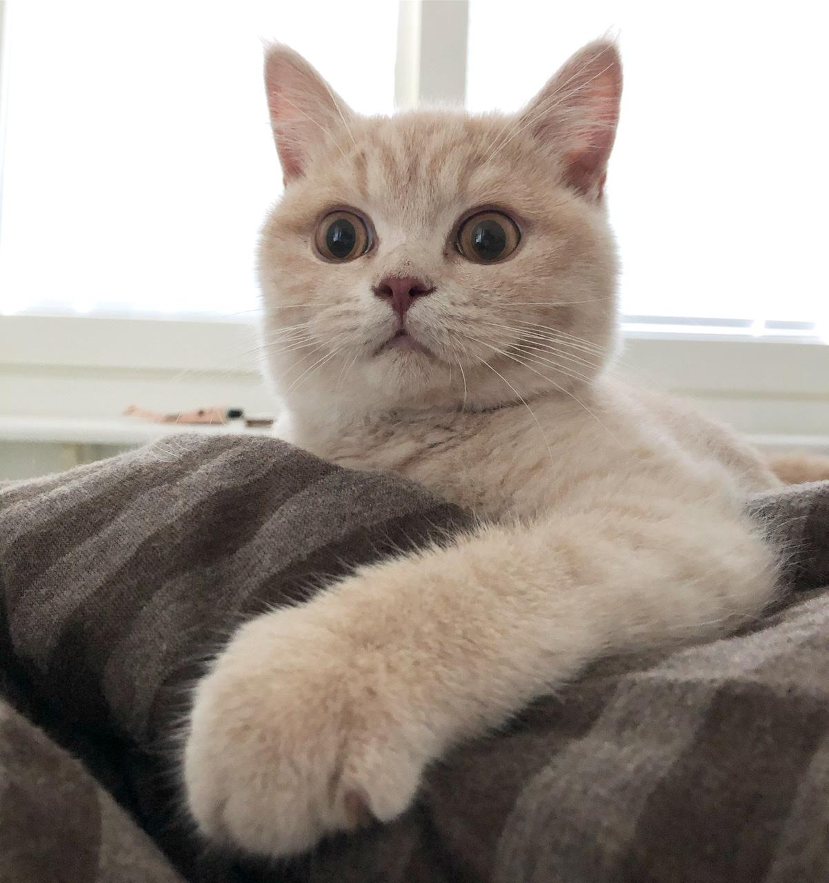 Looking Extra Playful Scrolller