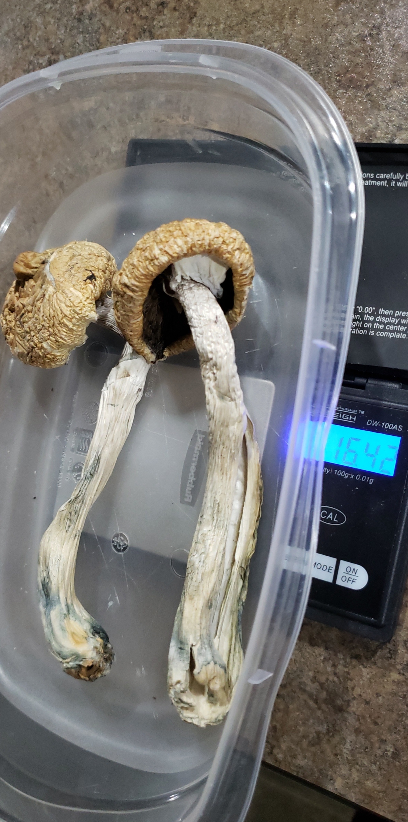 Looking Forward To The Weekend! | Scrolller