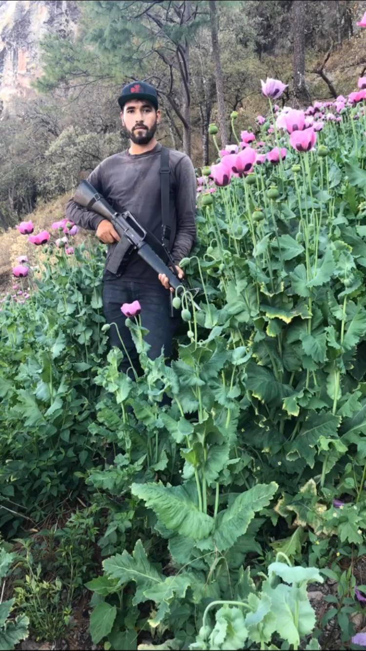 Los guanos sicario with an original M16 SP1 | Scrolller