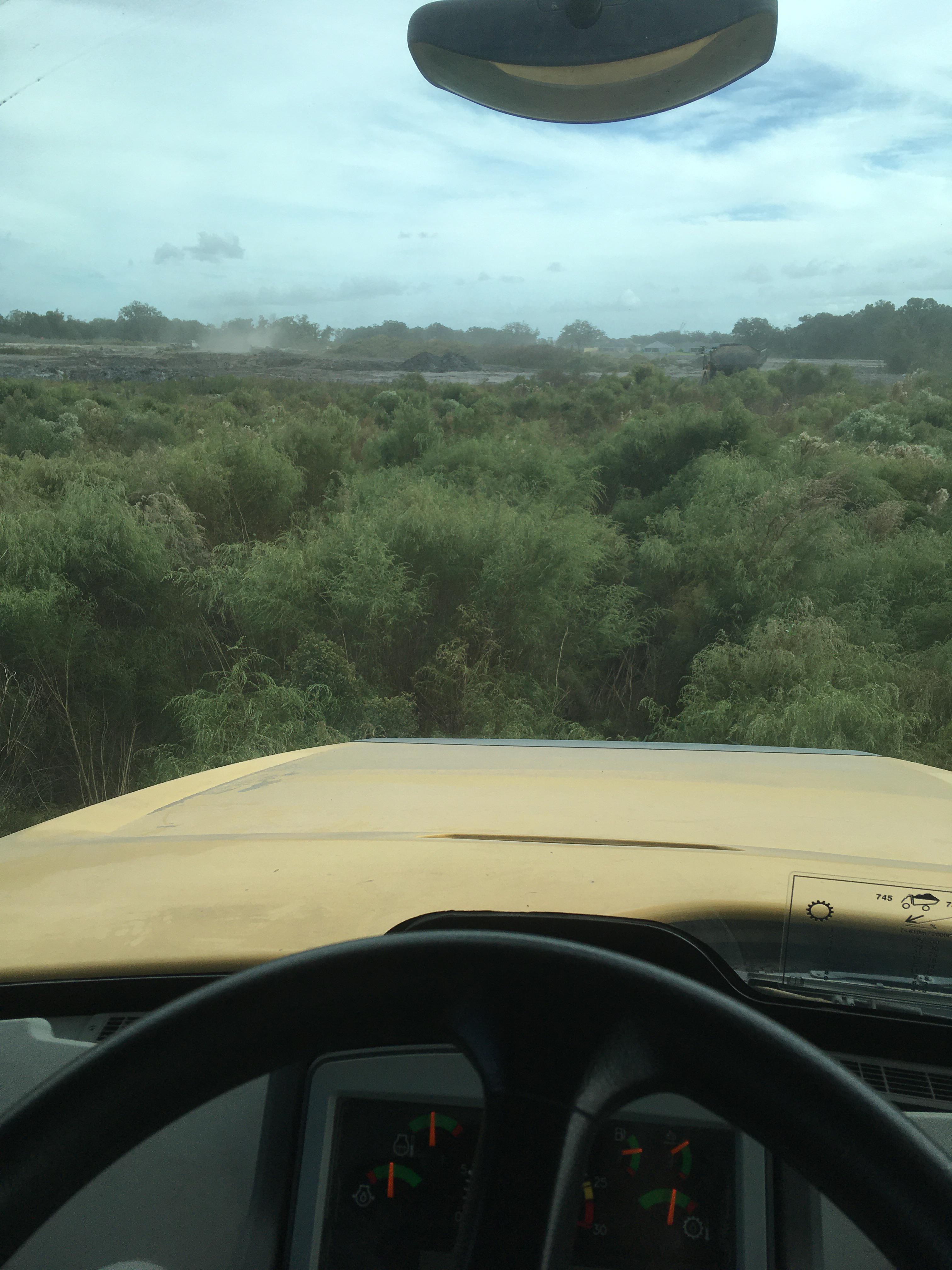 Lost in a field of dreams | Scrolller