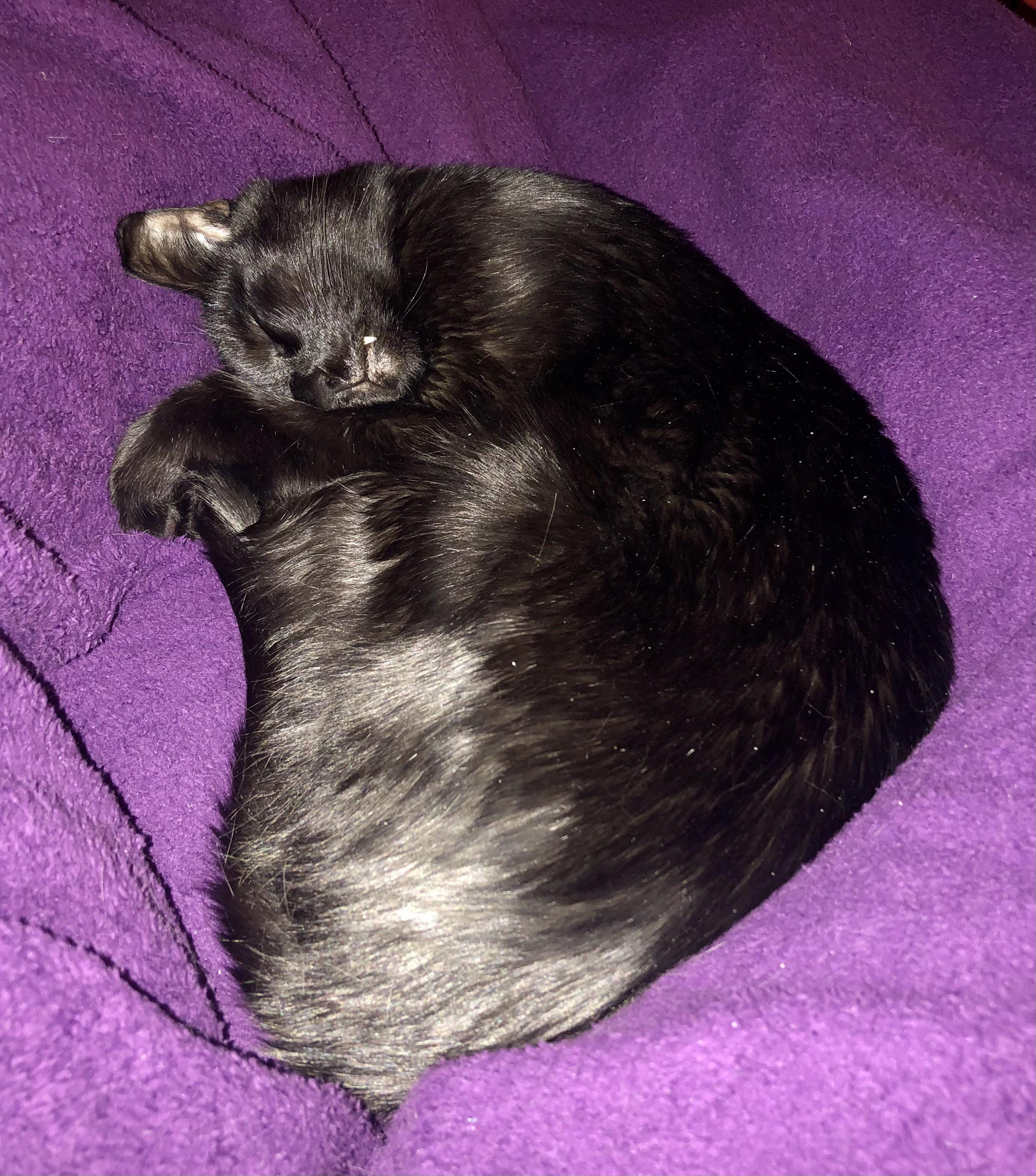 Love this little guy! | Scrolller