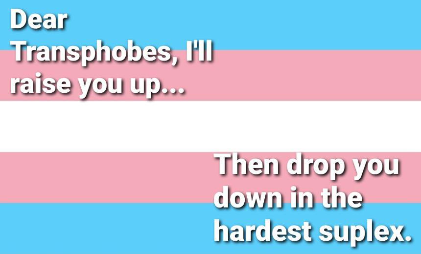 Love, trans people 💜 | Scrolller