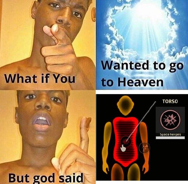 Low karma effects >:) | Scrolller