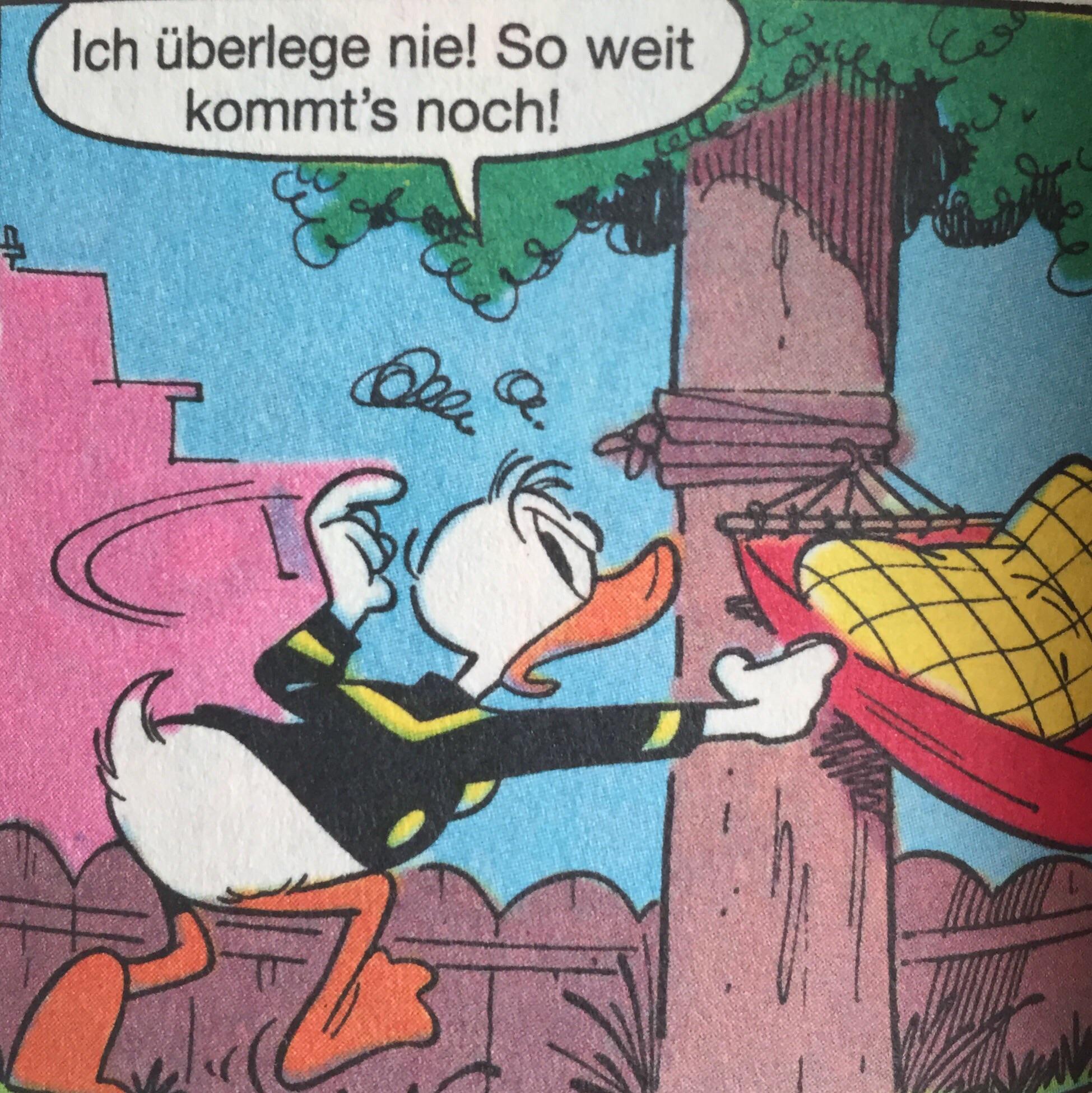 LTB🧠iel | Scrolller