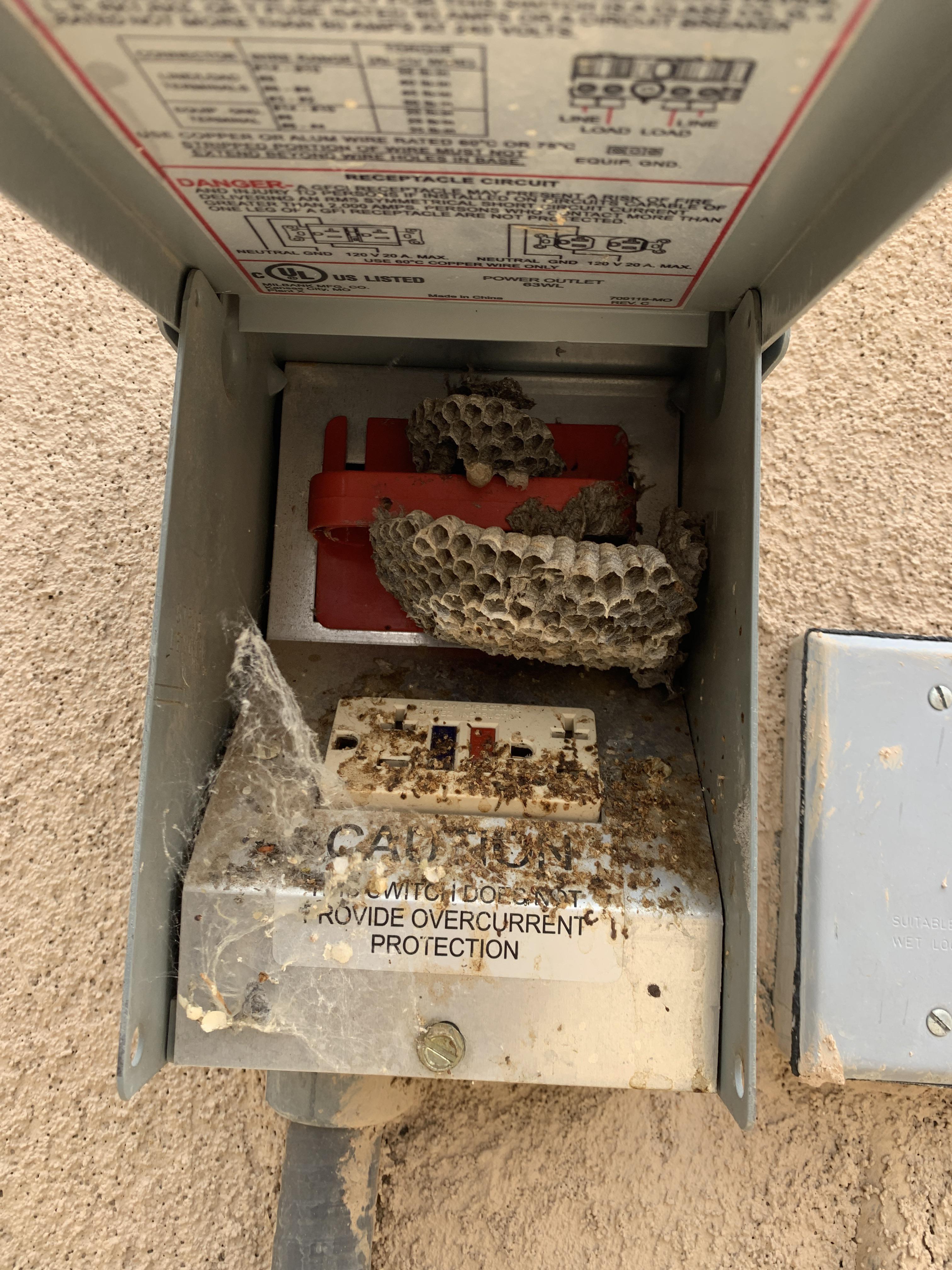 Lucky me, abandoned. | Scrolller