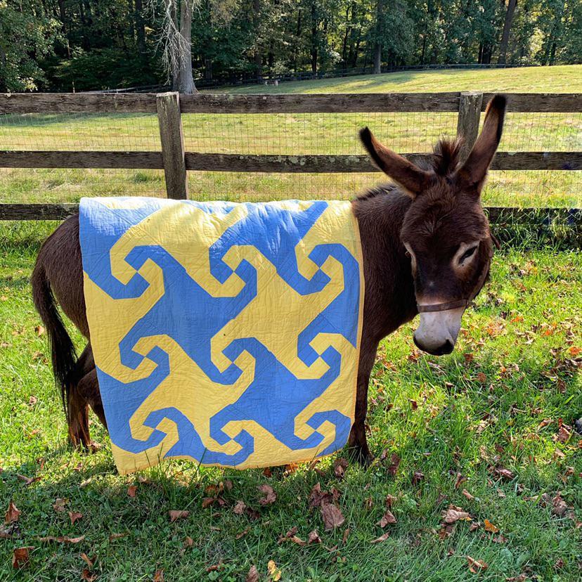 Lucy, the next supermodel! | Scrolller