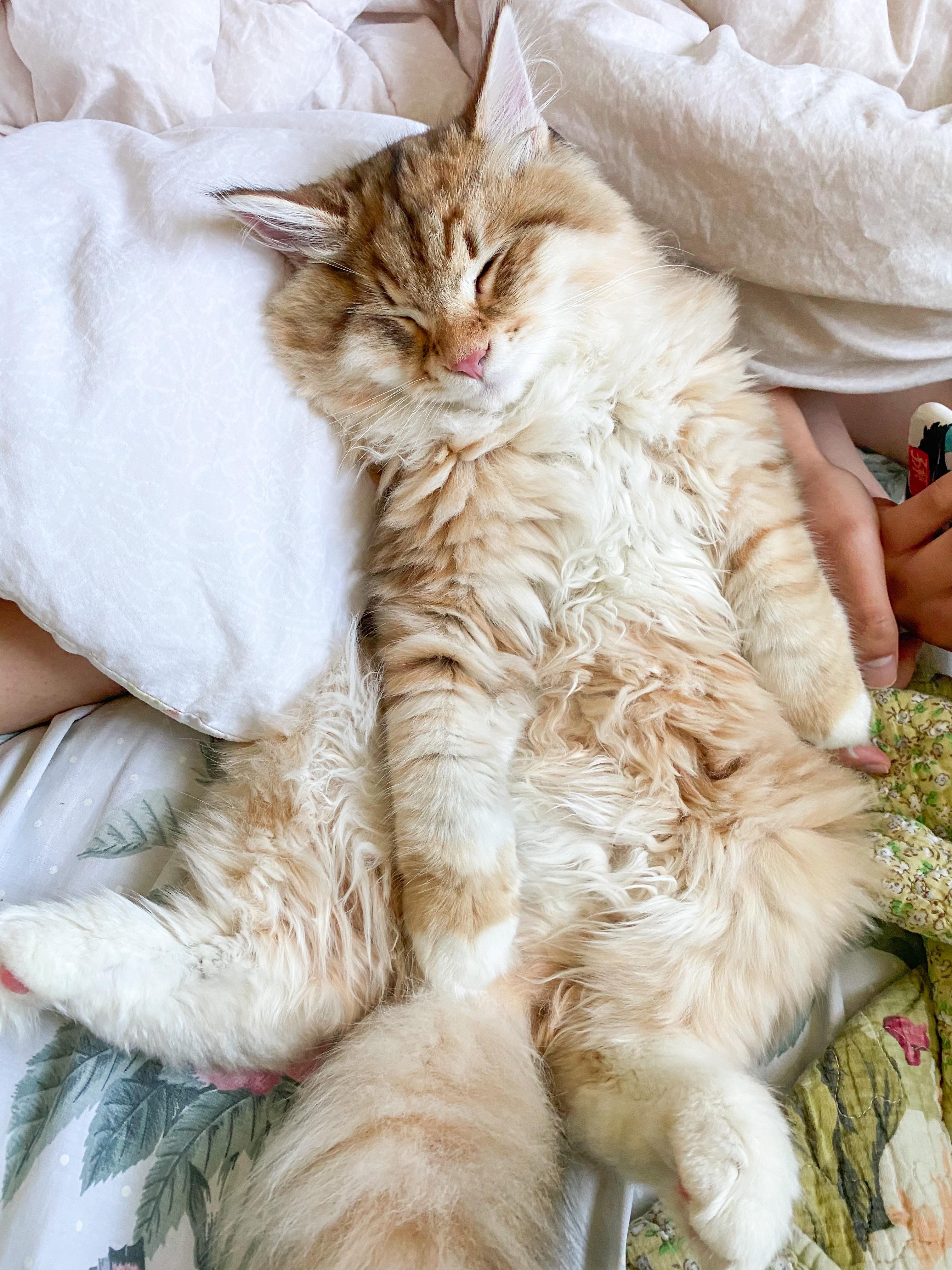 Luigi looking comfy! | Scrolller