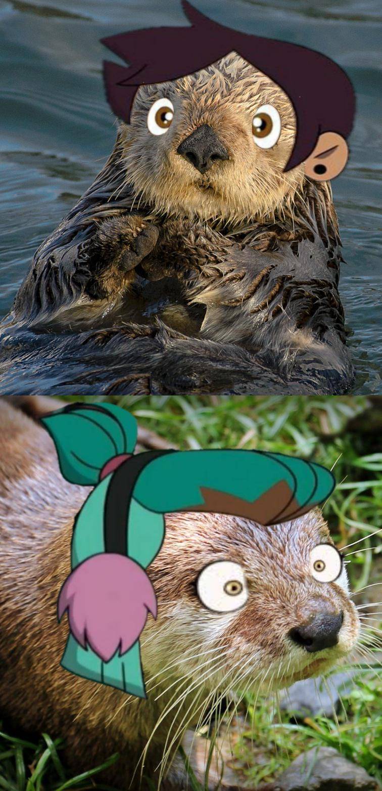 Lumity as Otters! | Scrolller