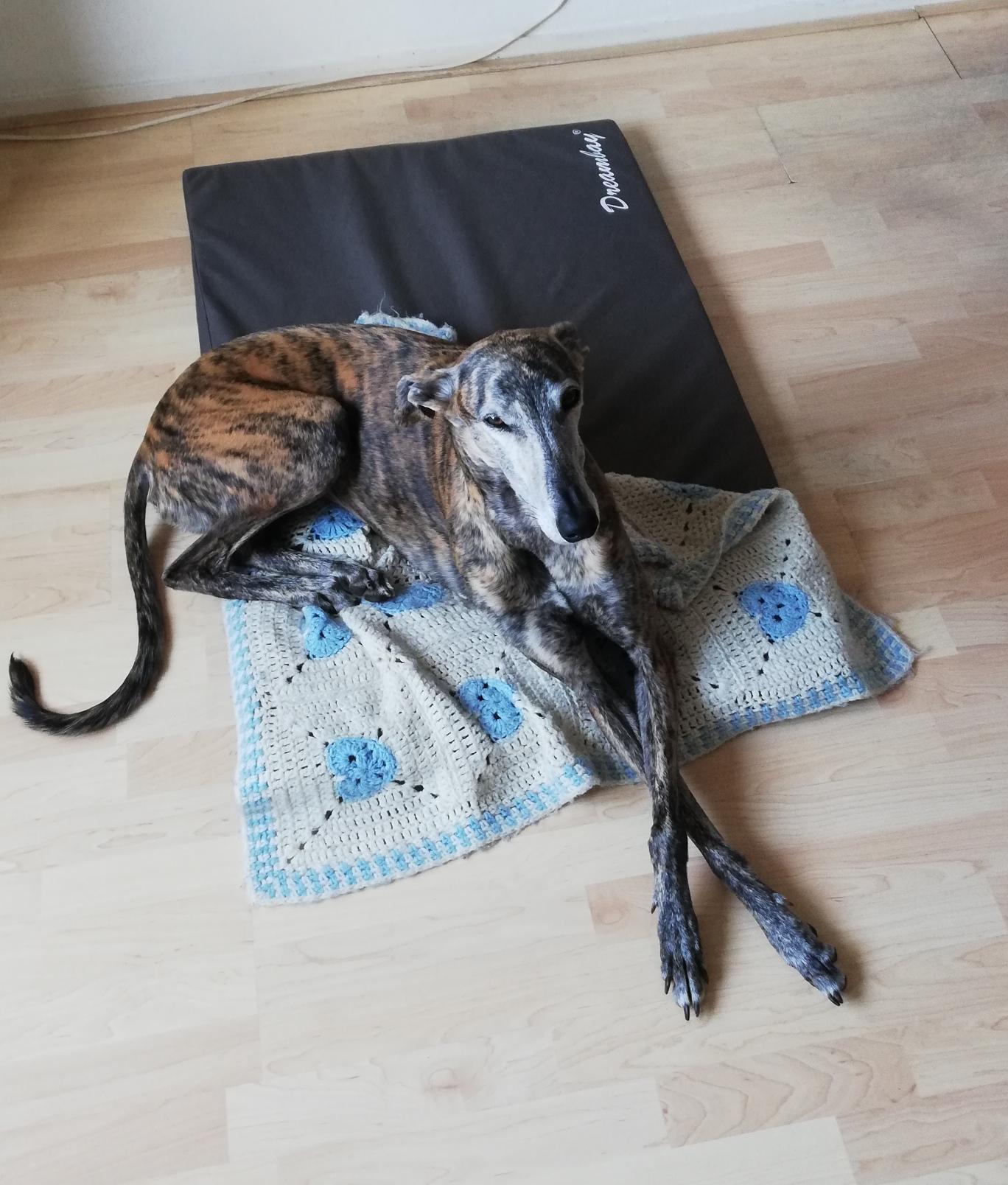 Luna being fancy | Scrolller