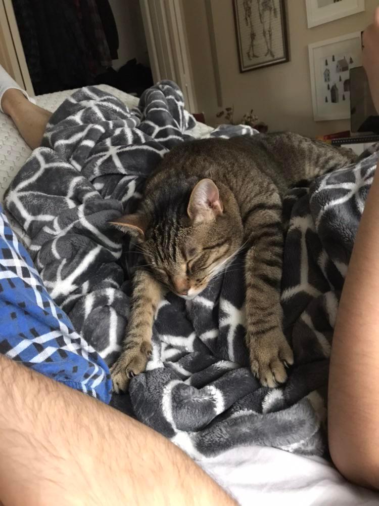 Luna the lump | Scrolller