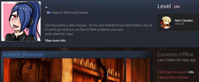 Lv289 Steam "skin changer" VAC in CSGO | Scrolller