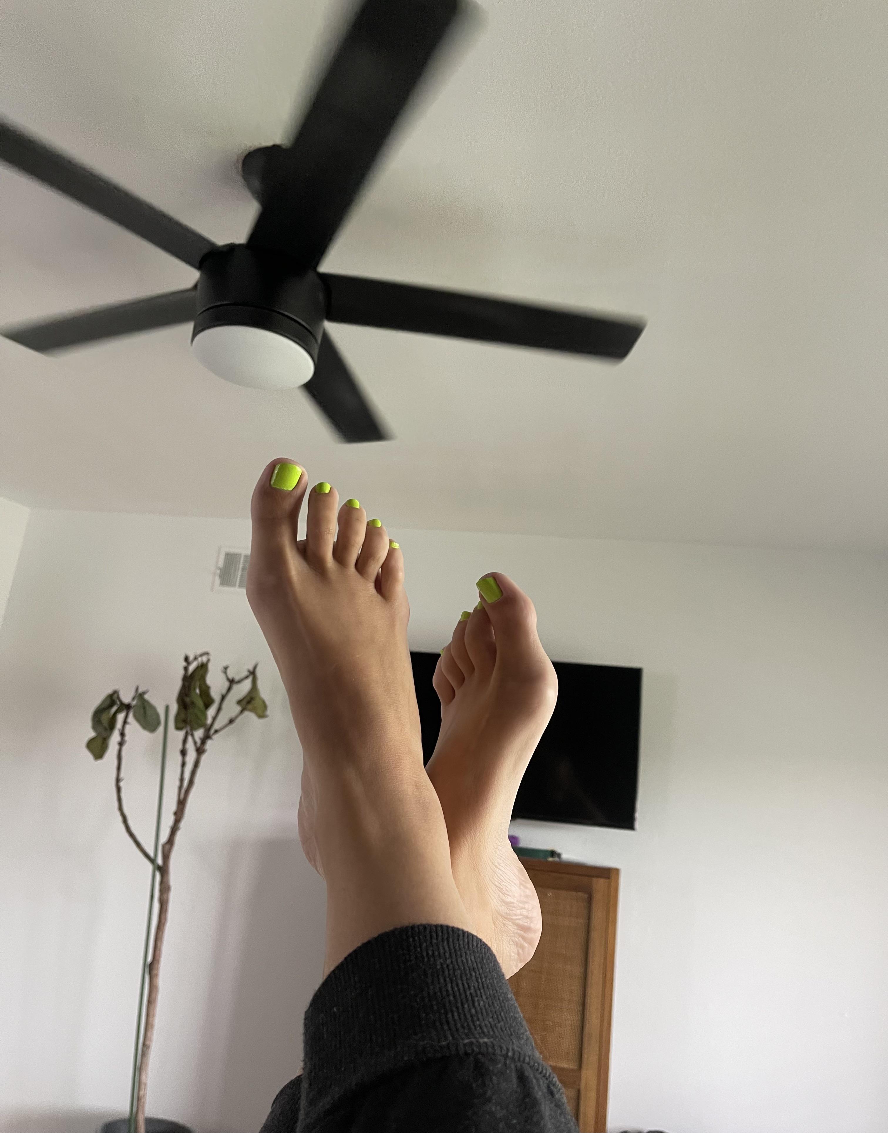 Lying in bed trying to figure out what to do…. Any ideas? | Scrolller