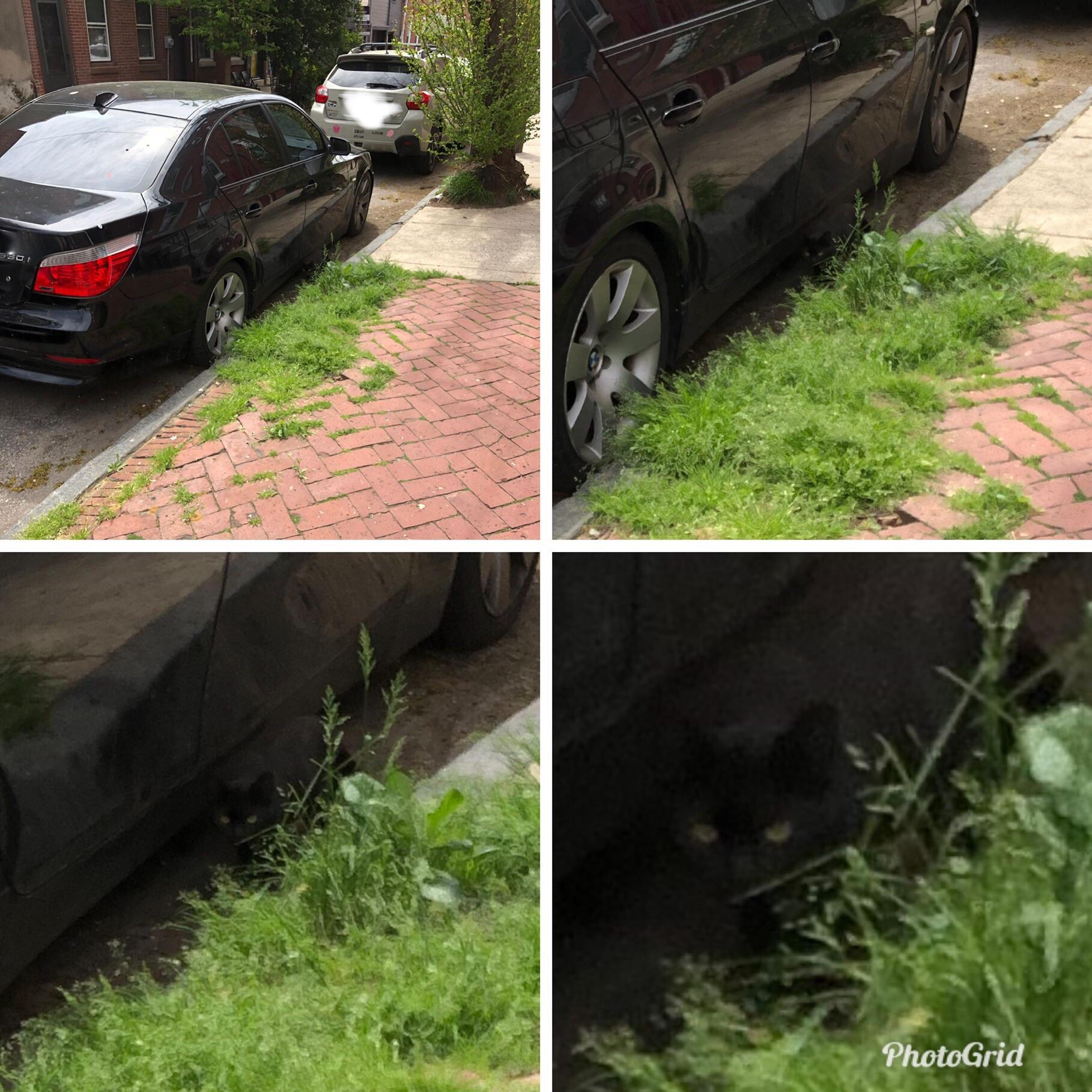 Lying in wait for his target | Scrolller