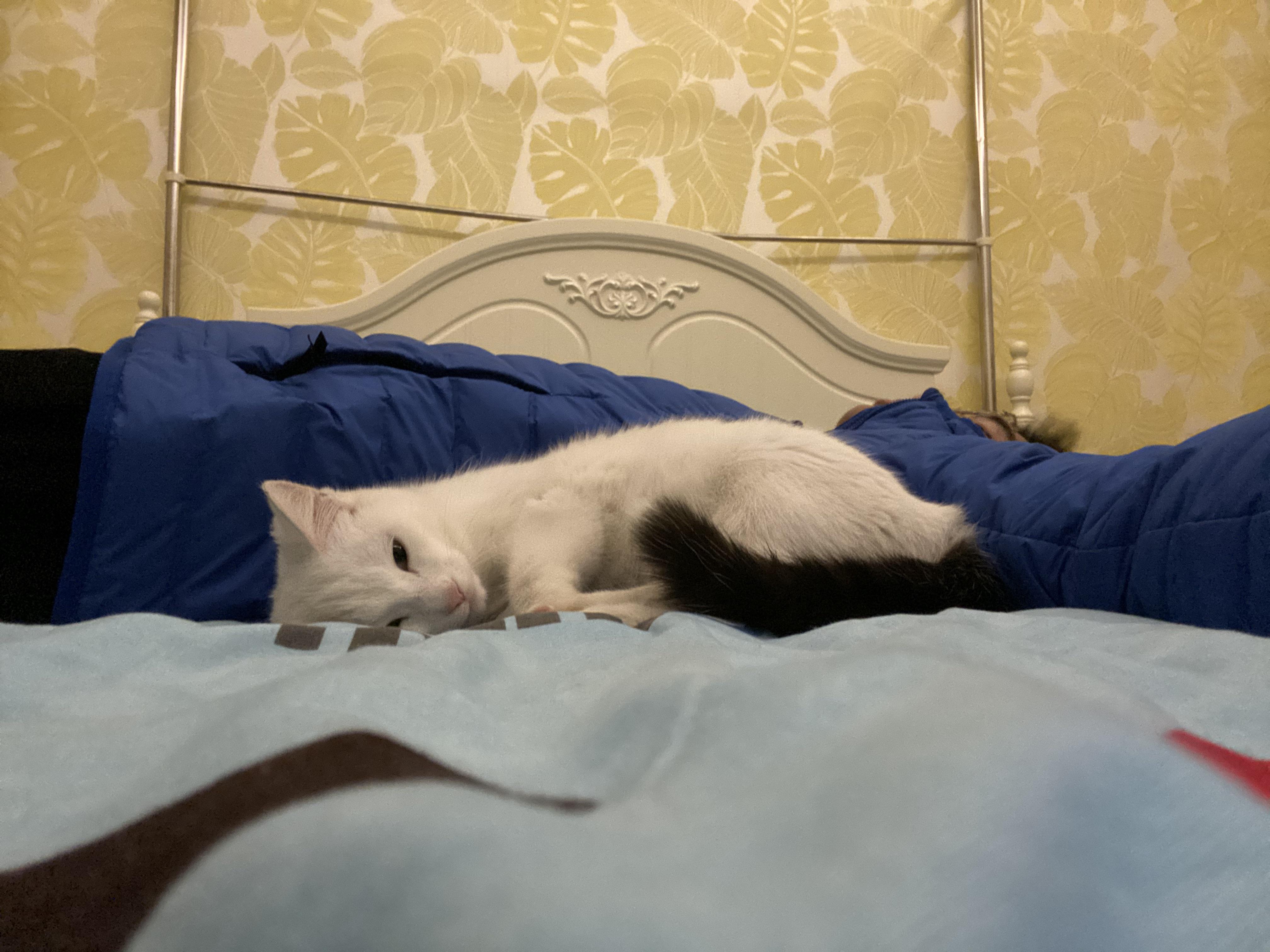 Lying together | Scrolller