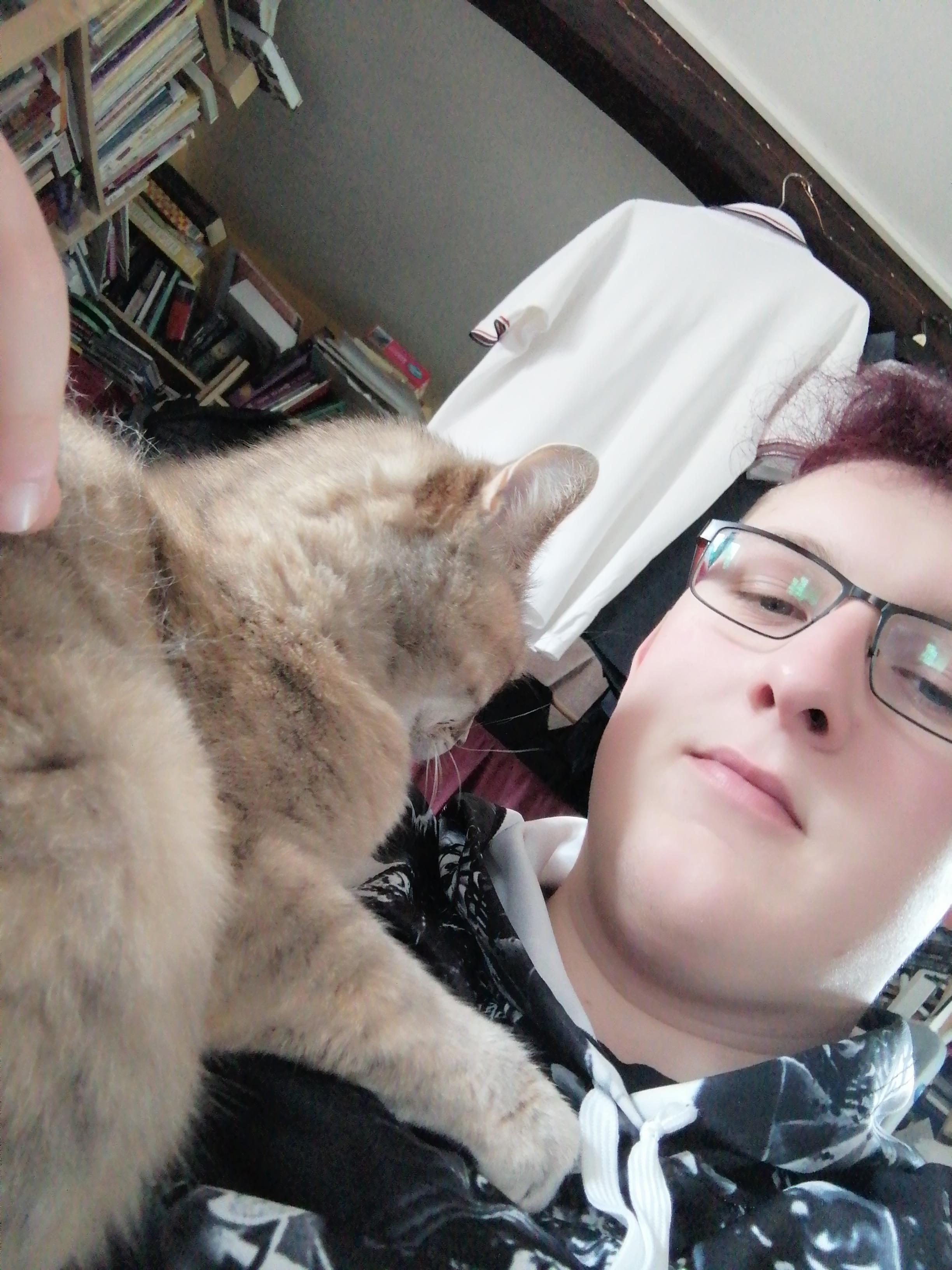 M19 cat selfie | Scrolller