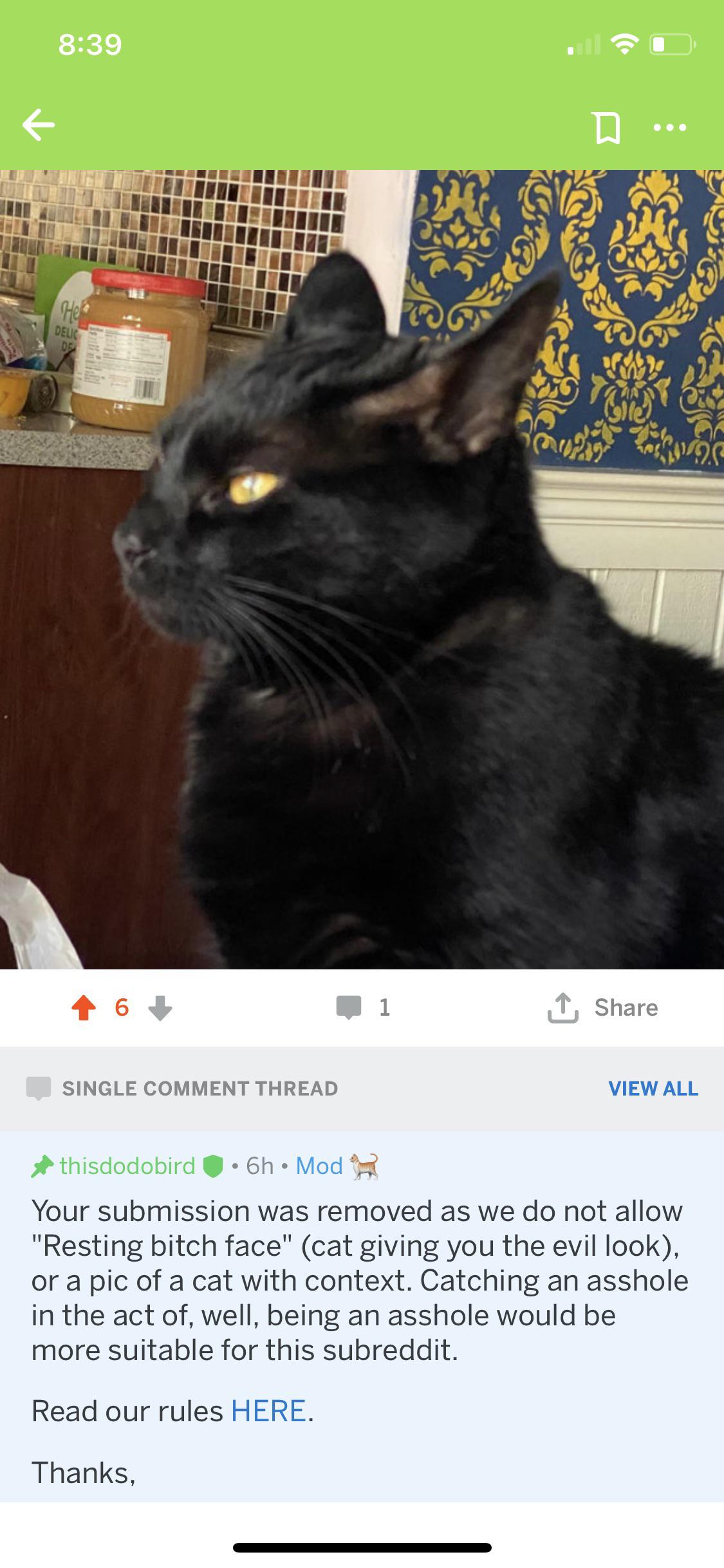 Mad void | Scrolller