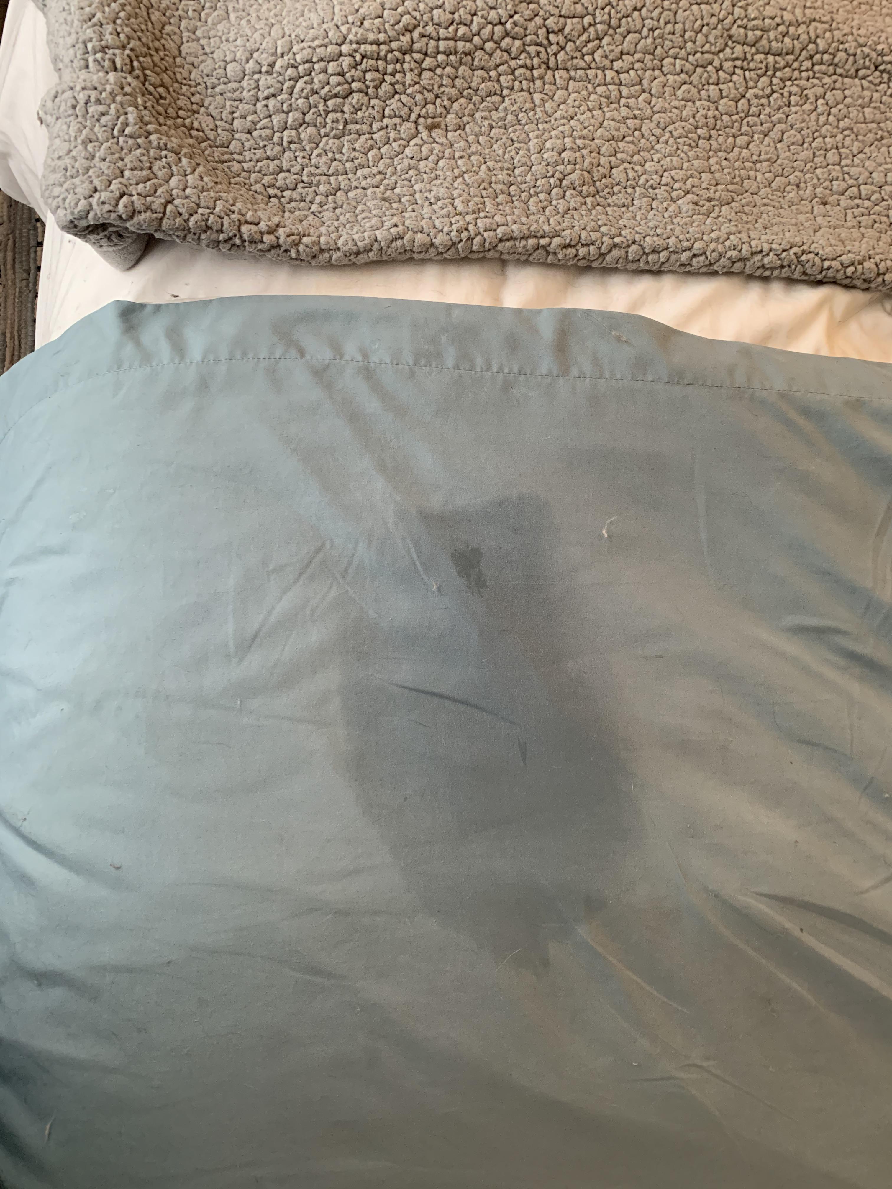 Made a lil mess thanks to one of you gorgeous babes 🤤🤭💦 | Scrolller