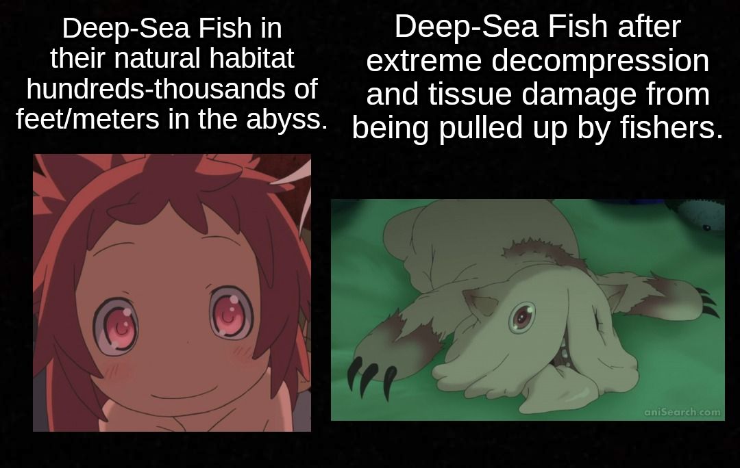 [Made in Abyss] Cursed Template | Scrolller