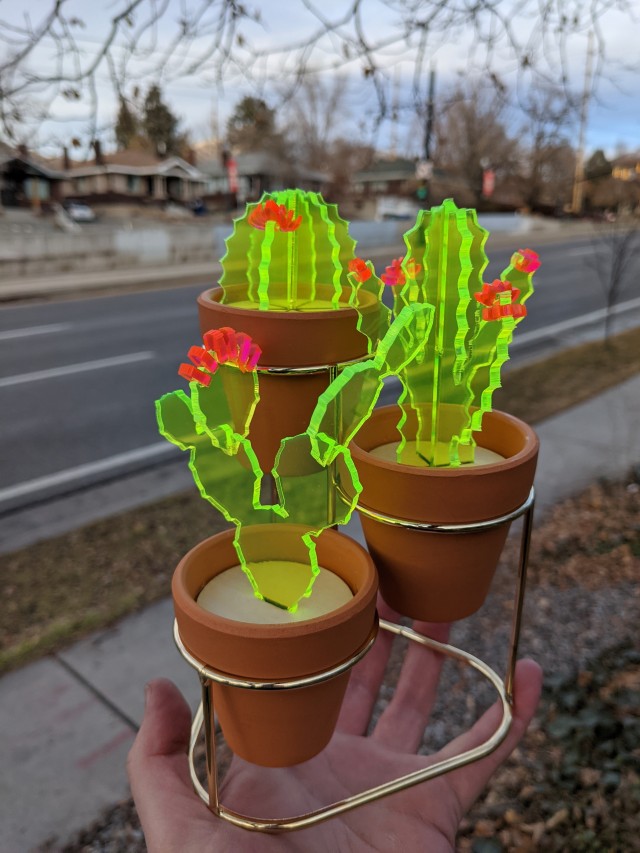 made some little cacti | Scrolller
