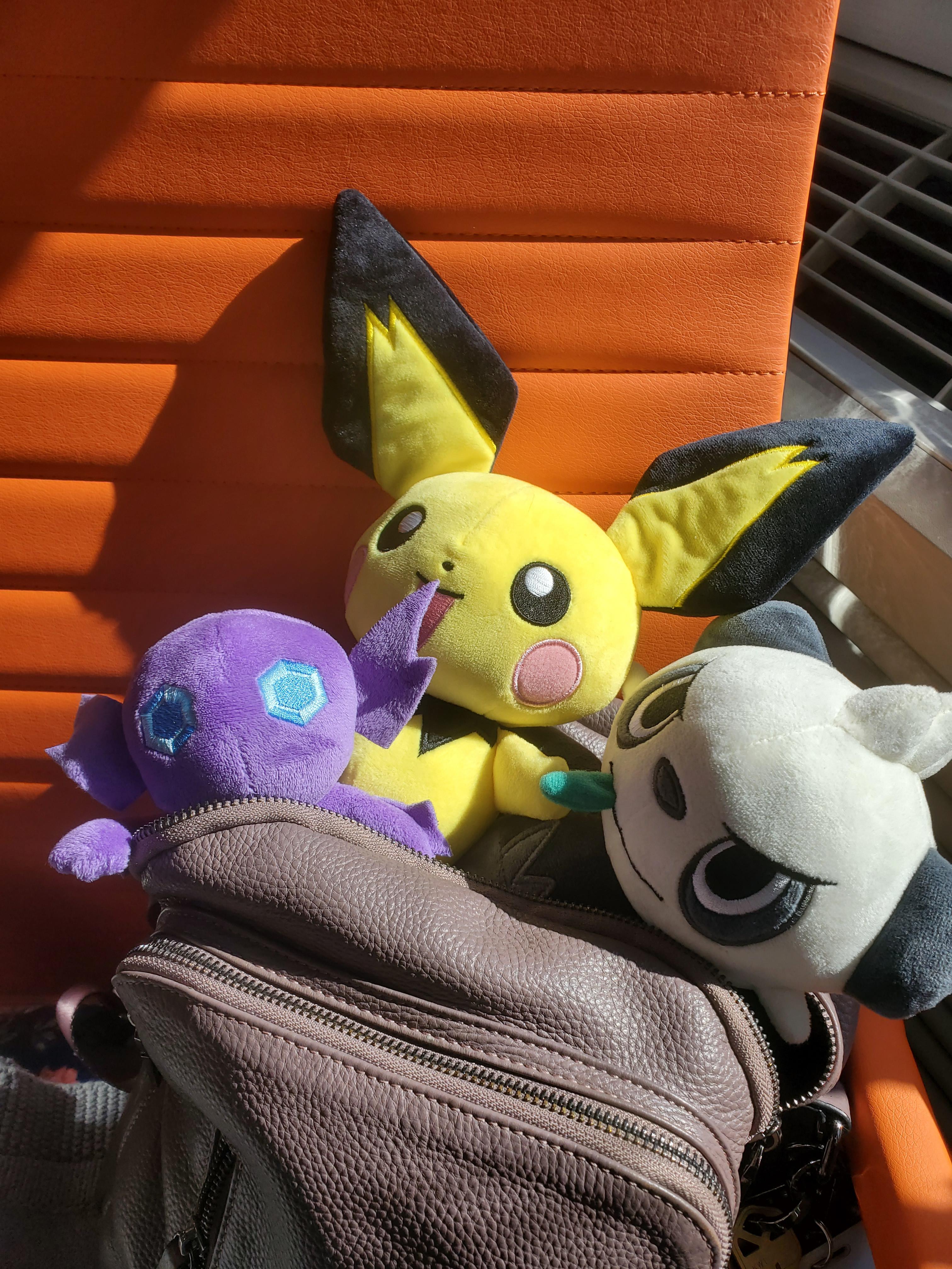 Made sure to only pack the essentials 😁 | Scrolller