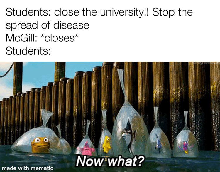 Made with mematic | Scrolller