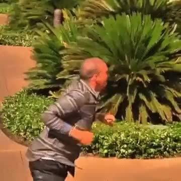 Magic Dance | Scrolller