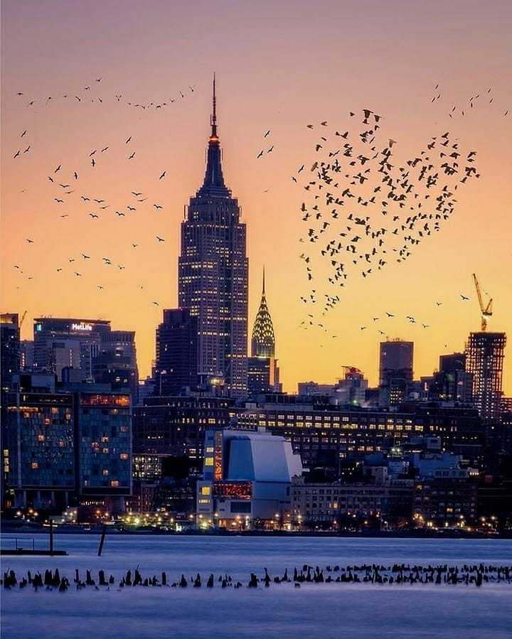 Magic NYC | Scrolller