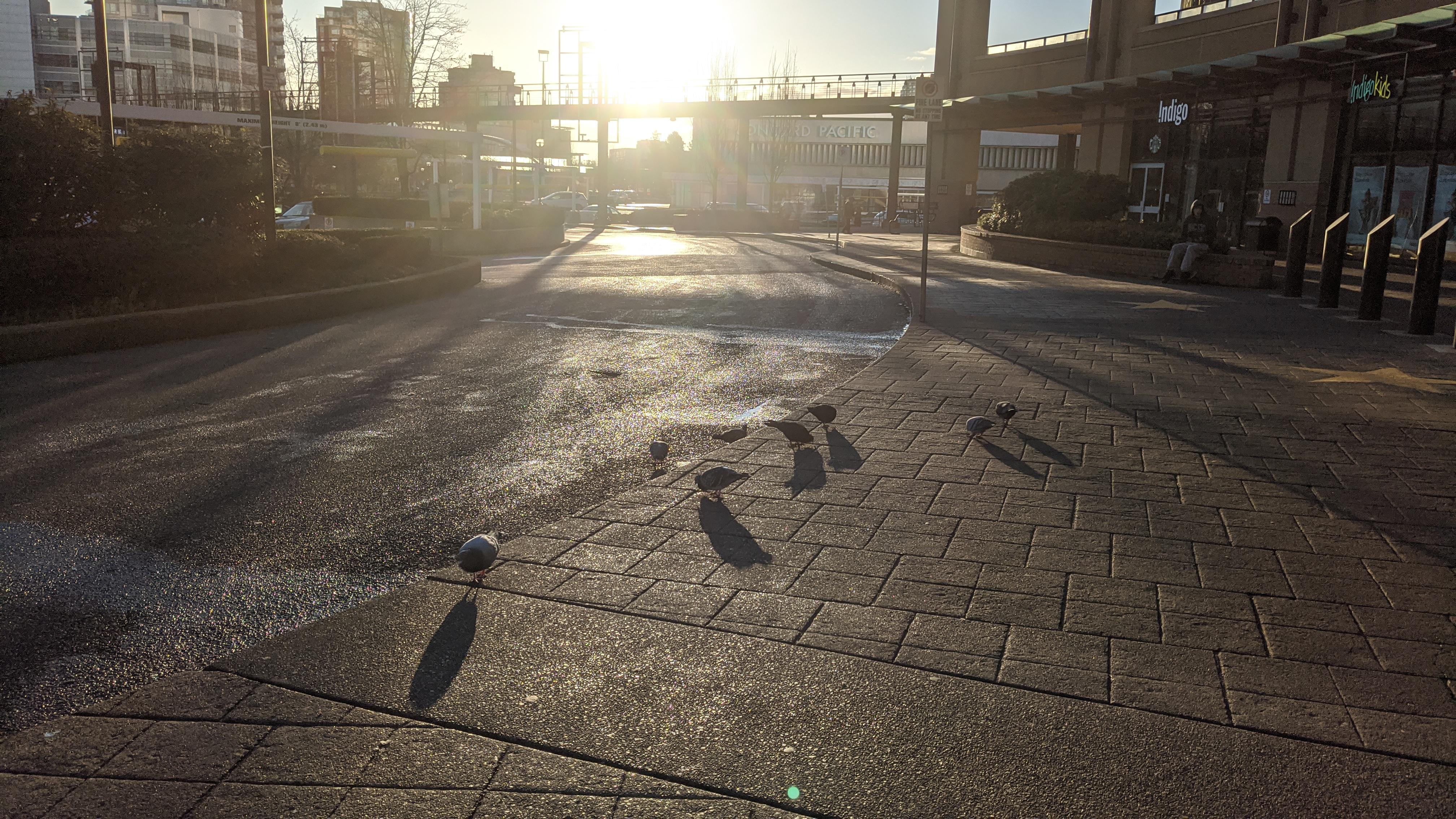 Magic of double exposure | Scrolller