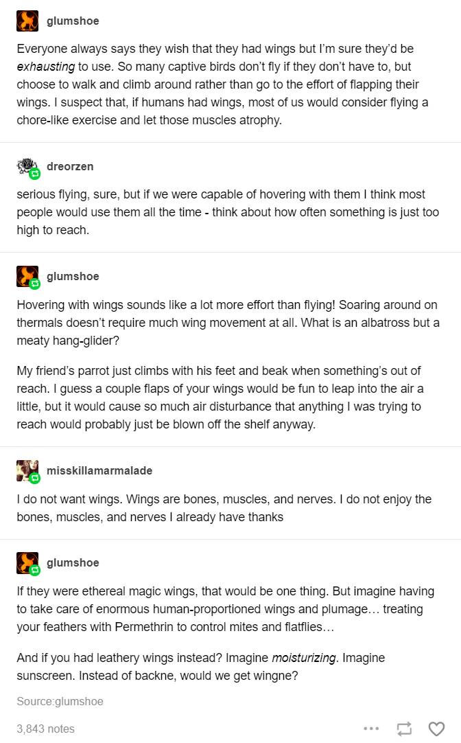 Magical wings are the only sensible option | Scrolller