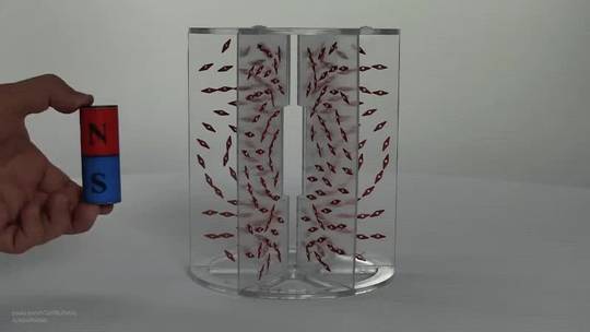 Magnetic field visualization | Scrolller