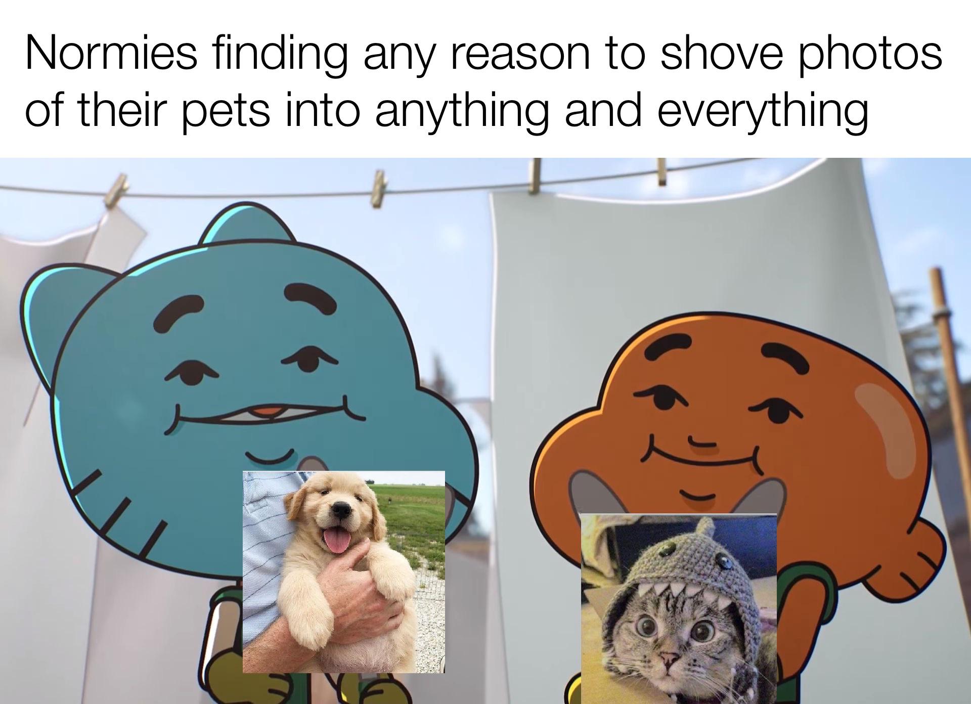 Main-piss-stream | Scrolller