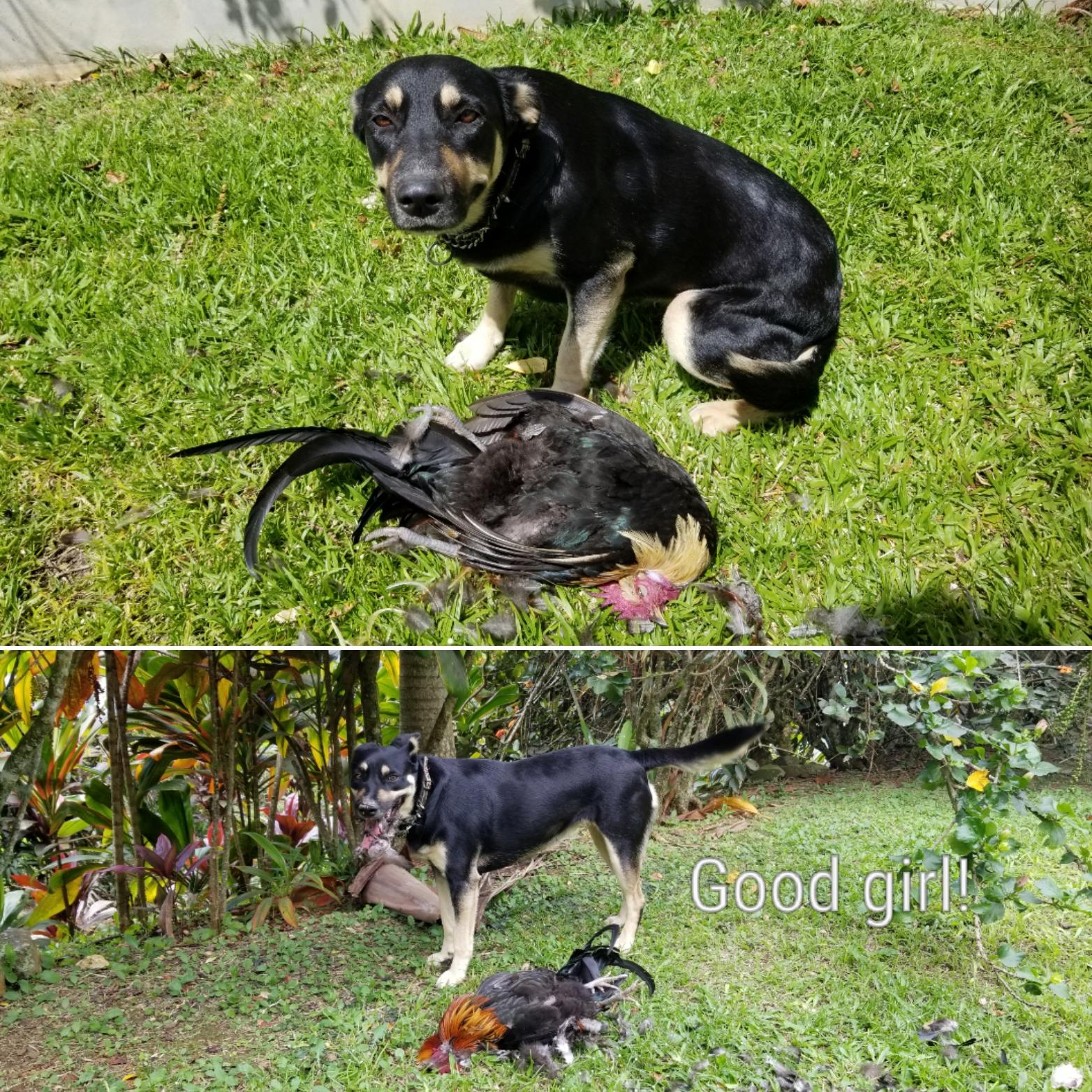 Making Daddy proud | Scrolller