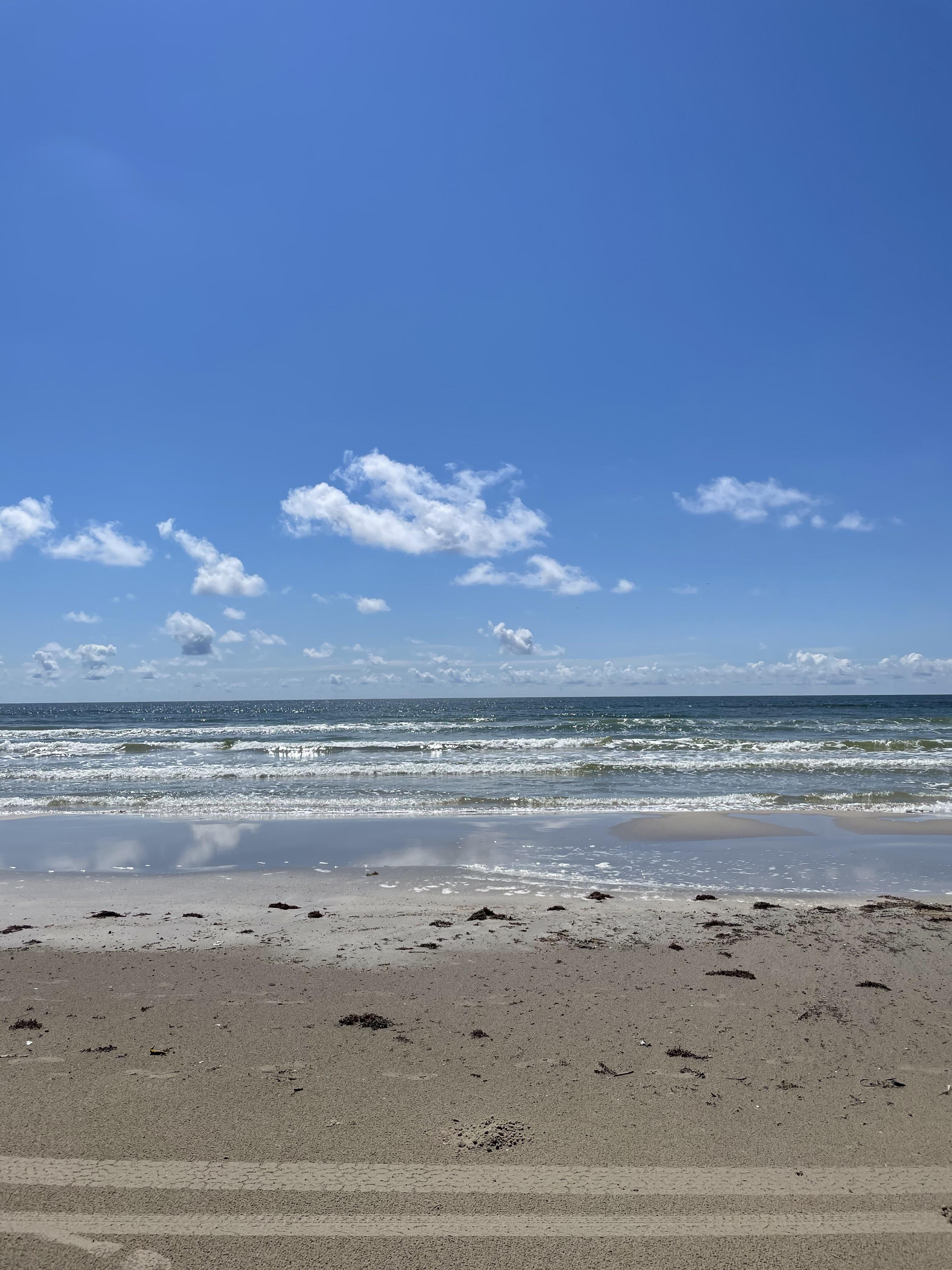 Malaquite Beach/PINS | Scrolller