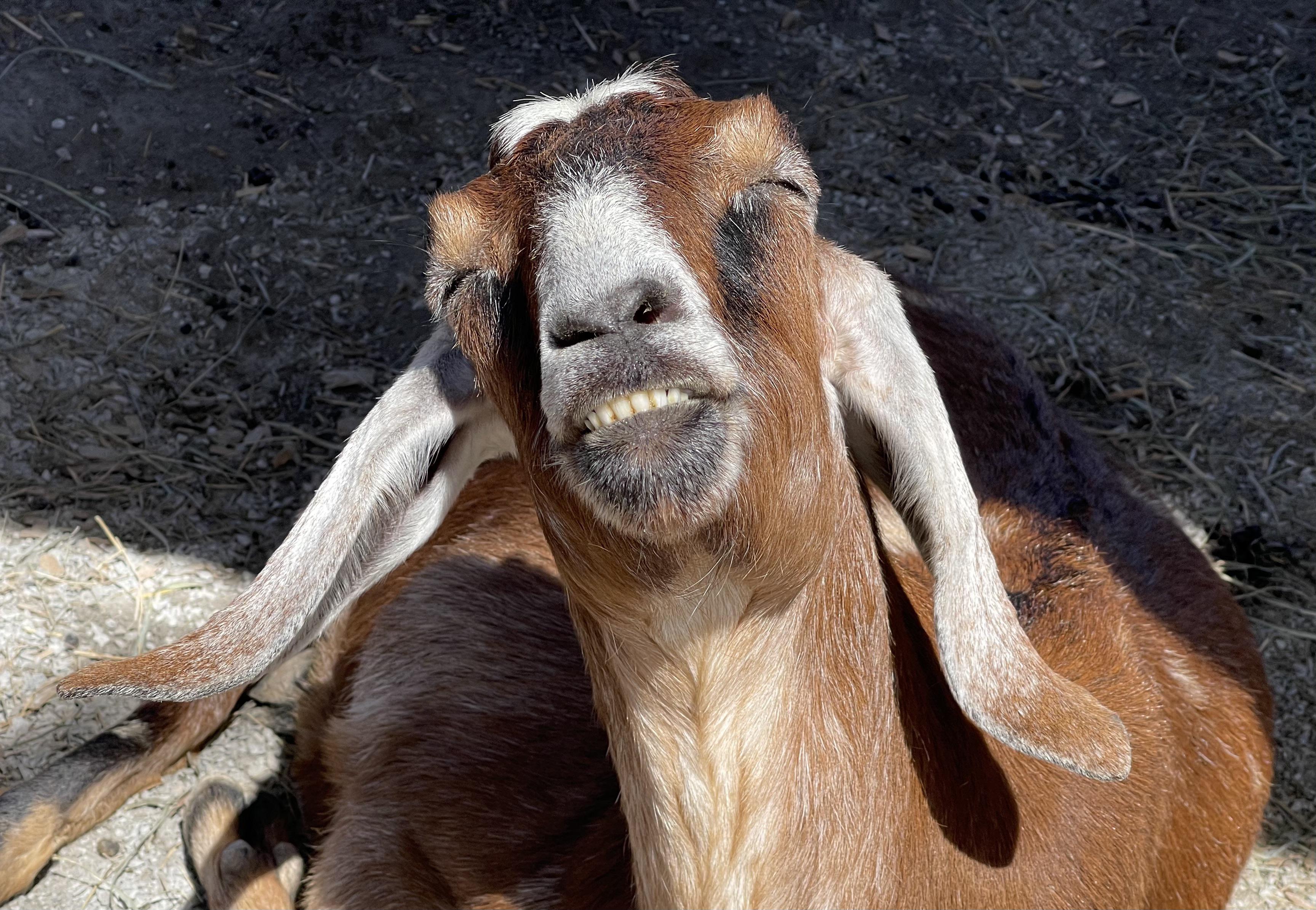 Man, I’m wasted | Scrolller