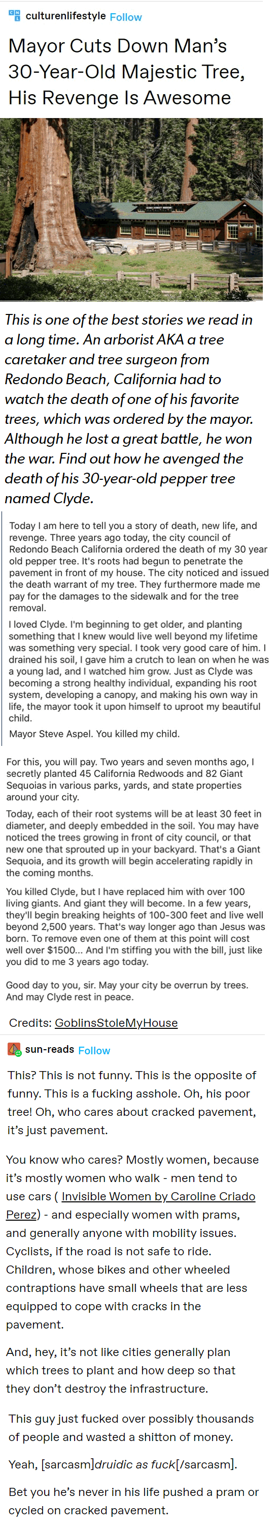 “Man plants trees, women most affected.” | Scrolller