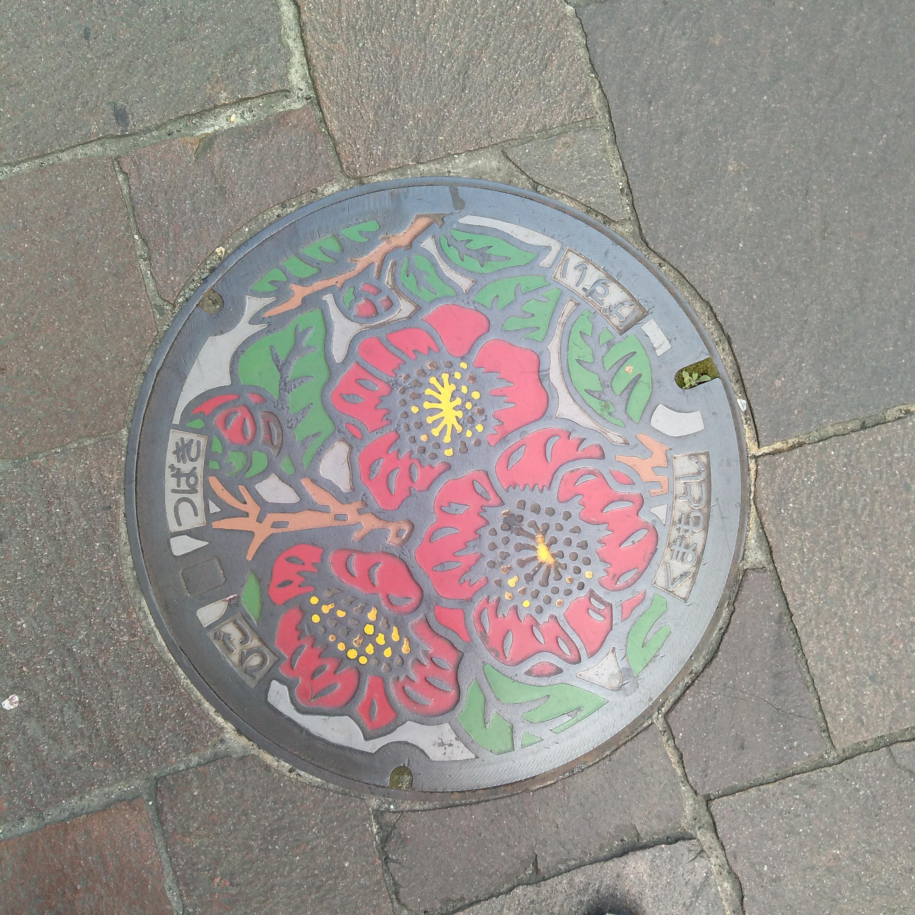 Manhole cover - Kumamoto 2019 | Scrolller