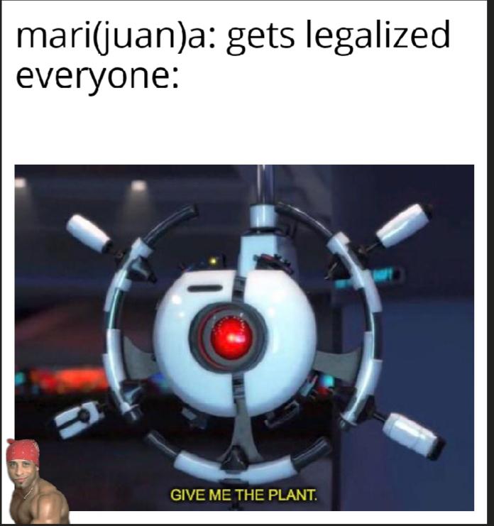 Marijuana | Scrolller