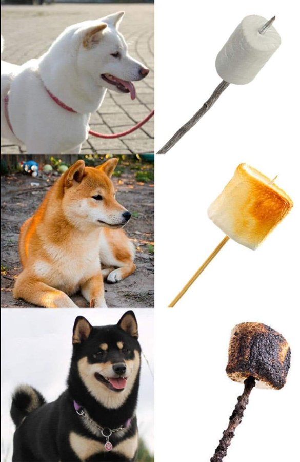 Marshmallow Clan?🍬 | Scrolller