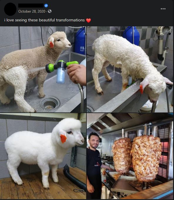 Mary had a little lamb. | Scrolller