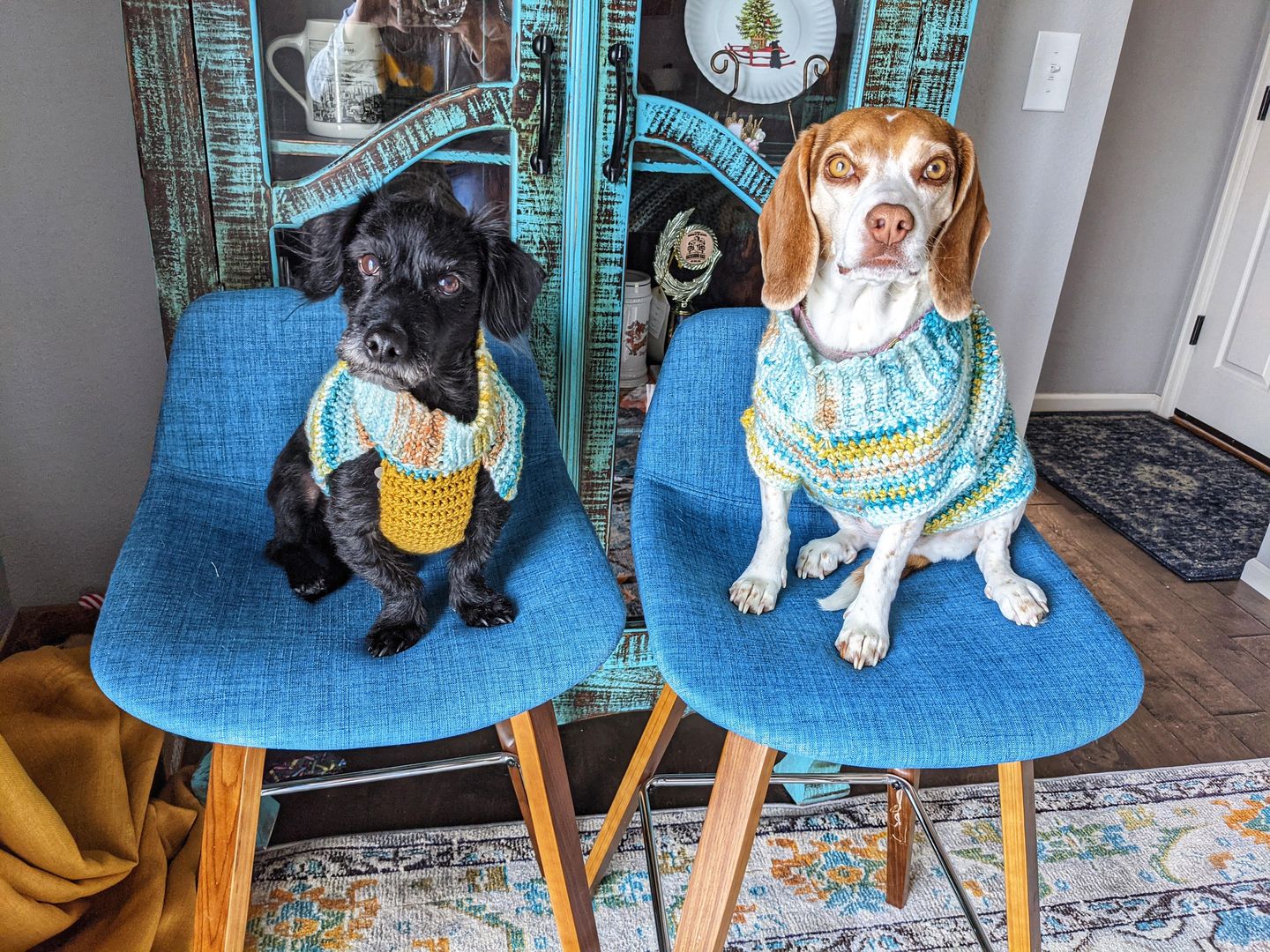 Matching sweaters | Scrolller