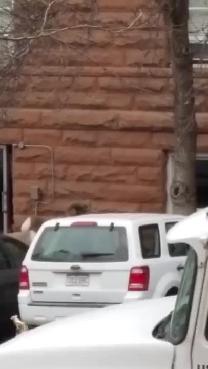 Max level security Breach | Scrolller