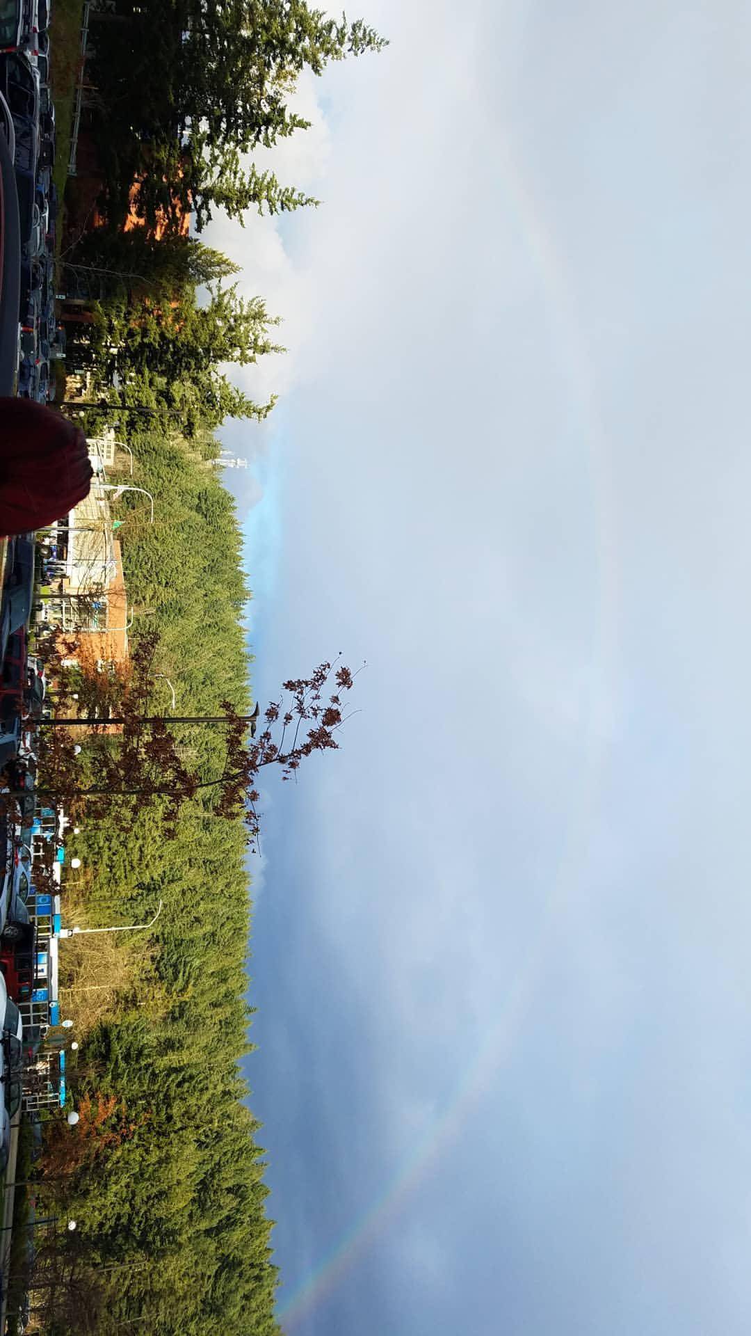 May your midterm grades be as beautiful as this rainbow! | Scrolller